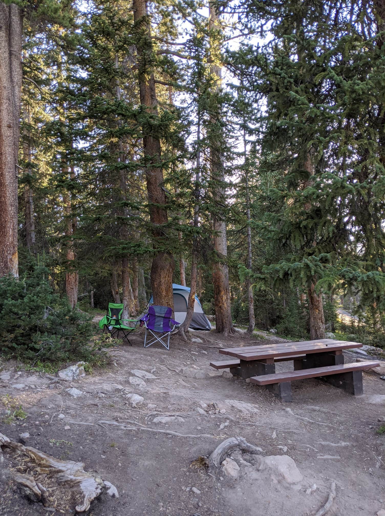 Trial Lake Campground | The Dyrt