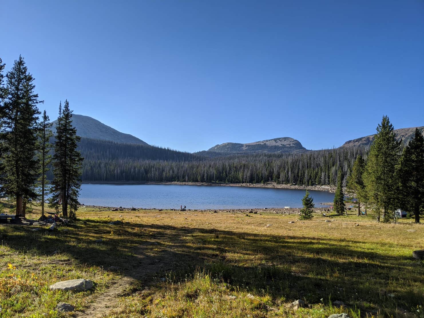 Trial Lake Campground | The Dyrt