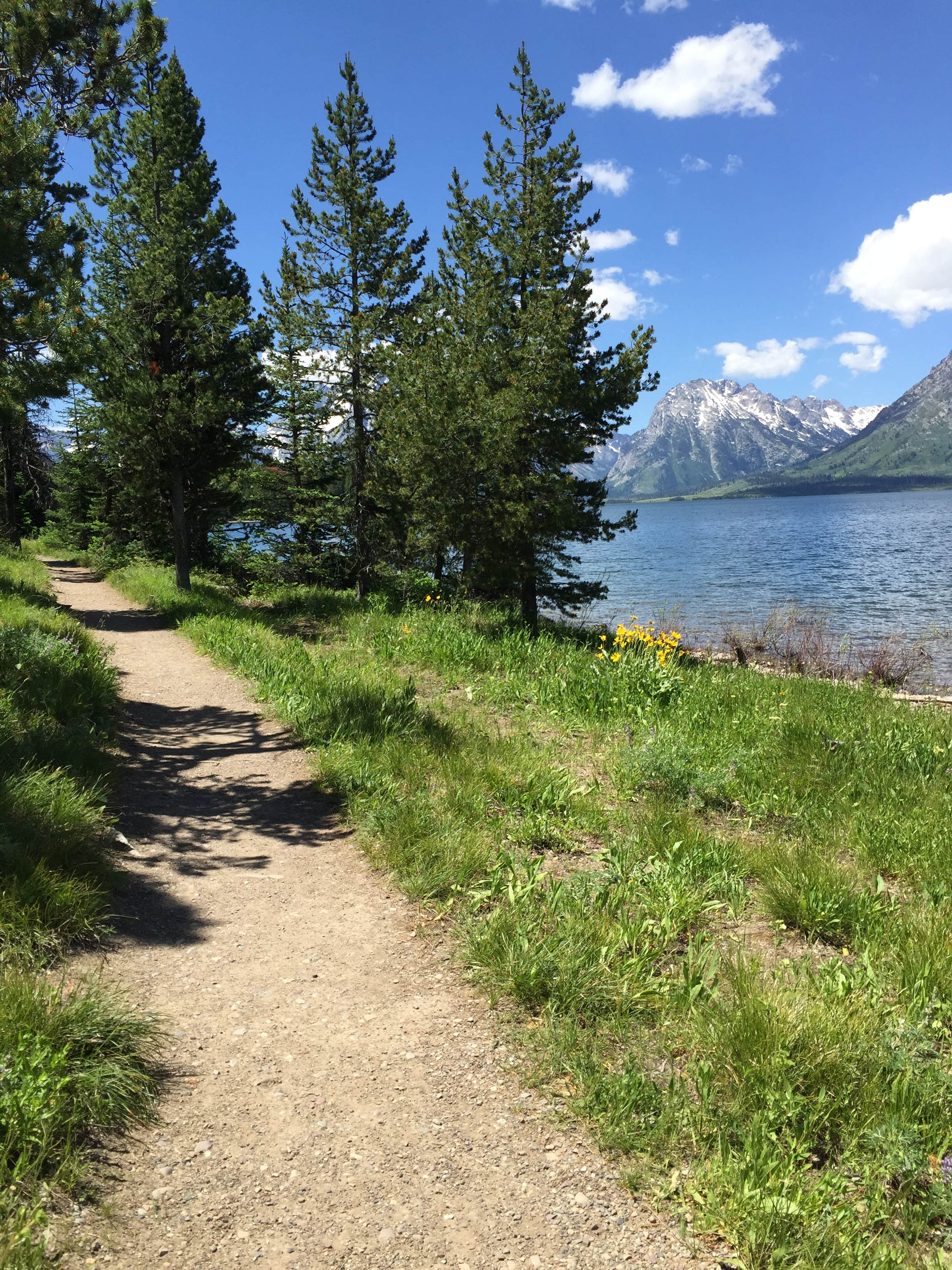 Colter Bay Tent Village at Colter Bay Village — Grand Teton National ...