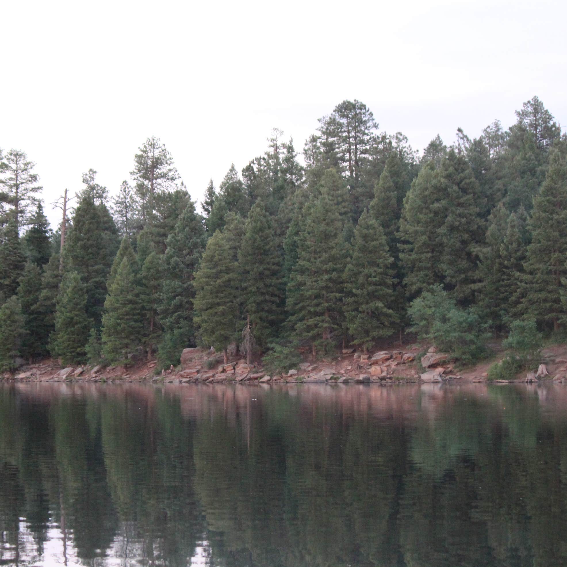 Aspen Campground at Woods Canyon Camping | The Dyrt