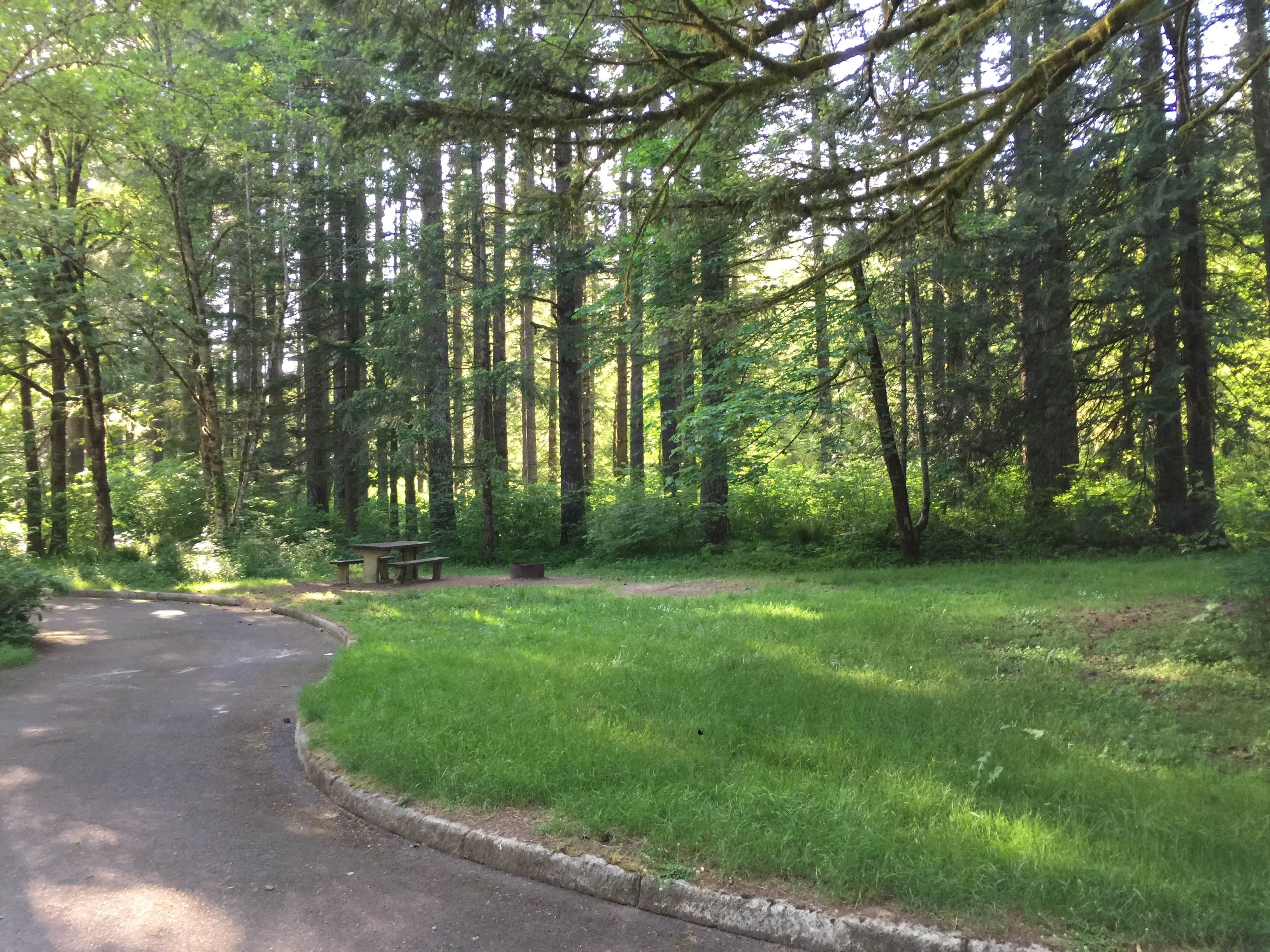 Sunset Falls Campground Camping | The Dyrt