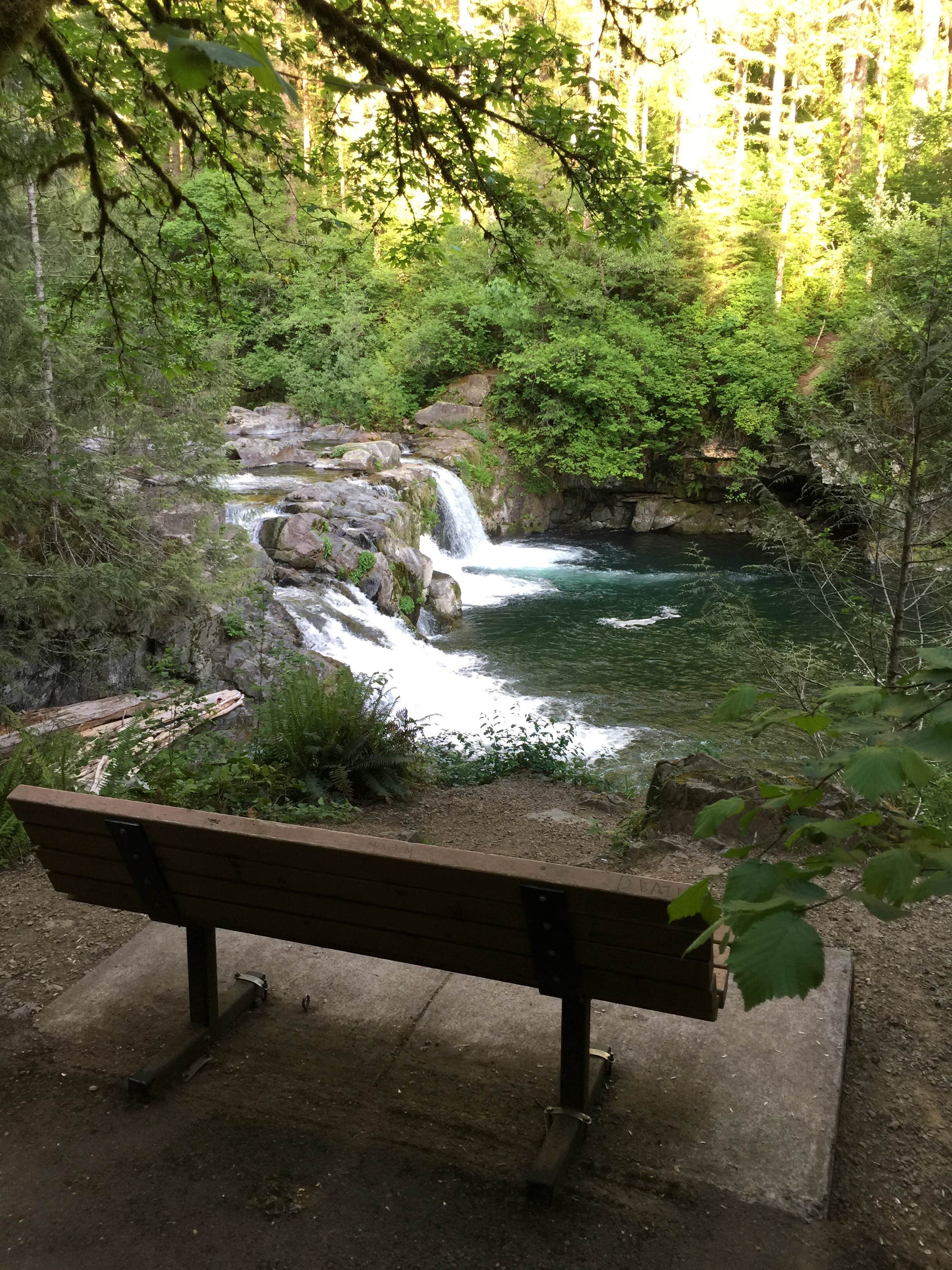 Sunset Falls Campground | Yacolt, WA