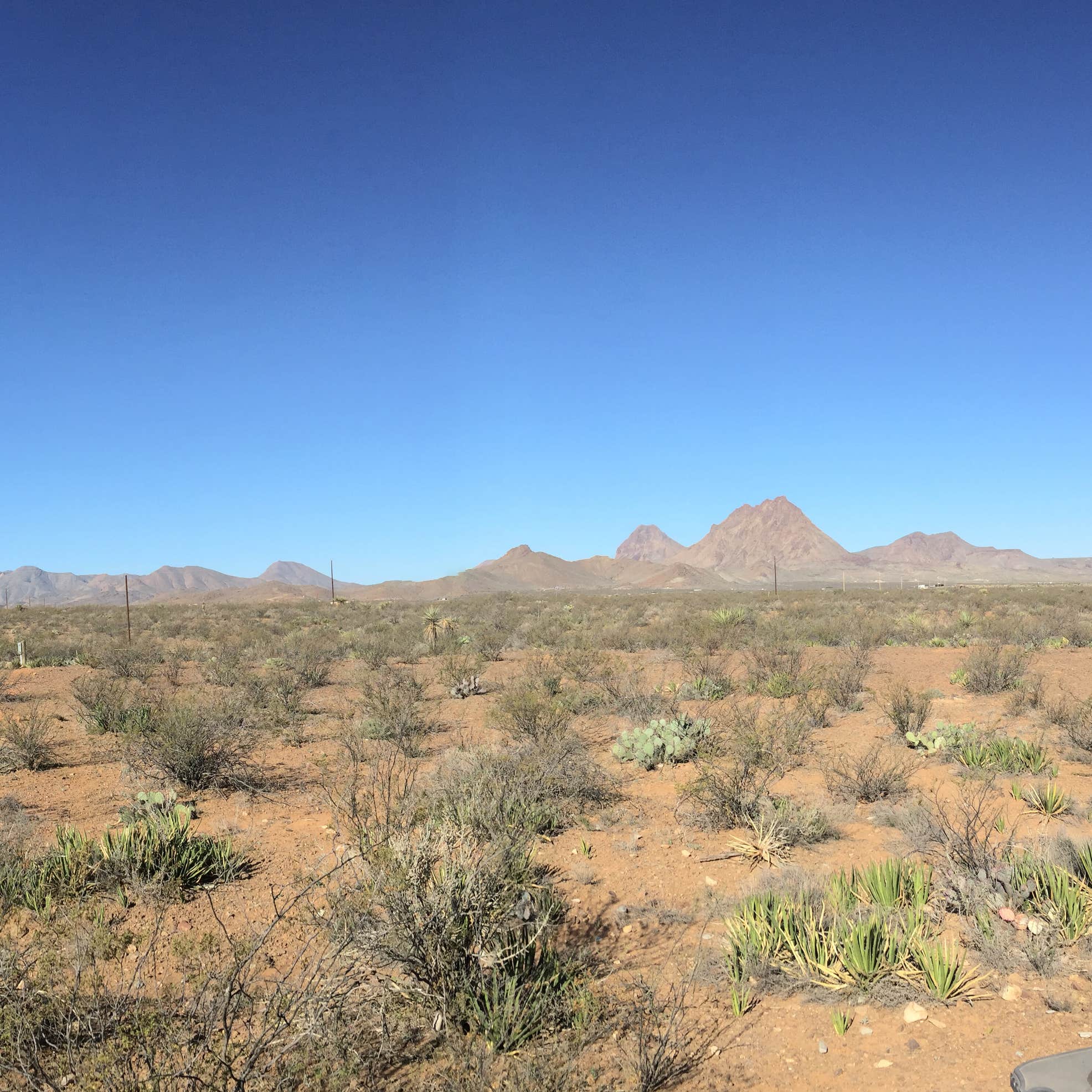 Tin Valley Retro Rentals Camping | Terlingua, Texas