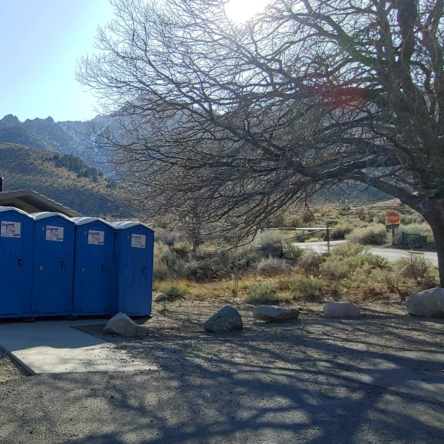 Inyo / Lower Grays Meadow Campground Camping | The Dyrt