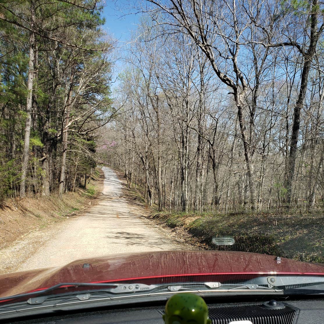 Gatlin Point Camping | Dover, Tennessee