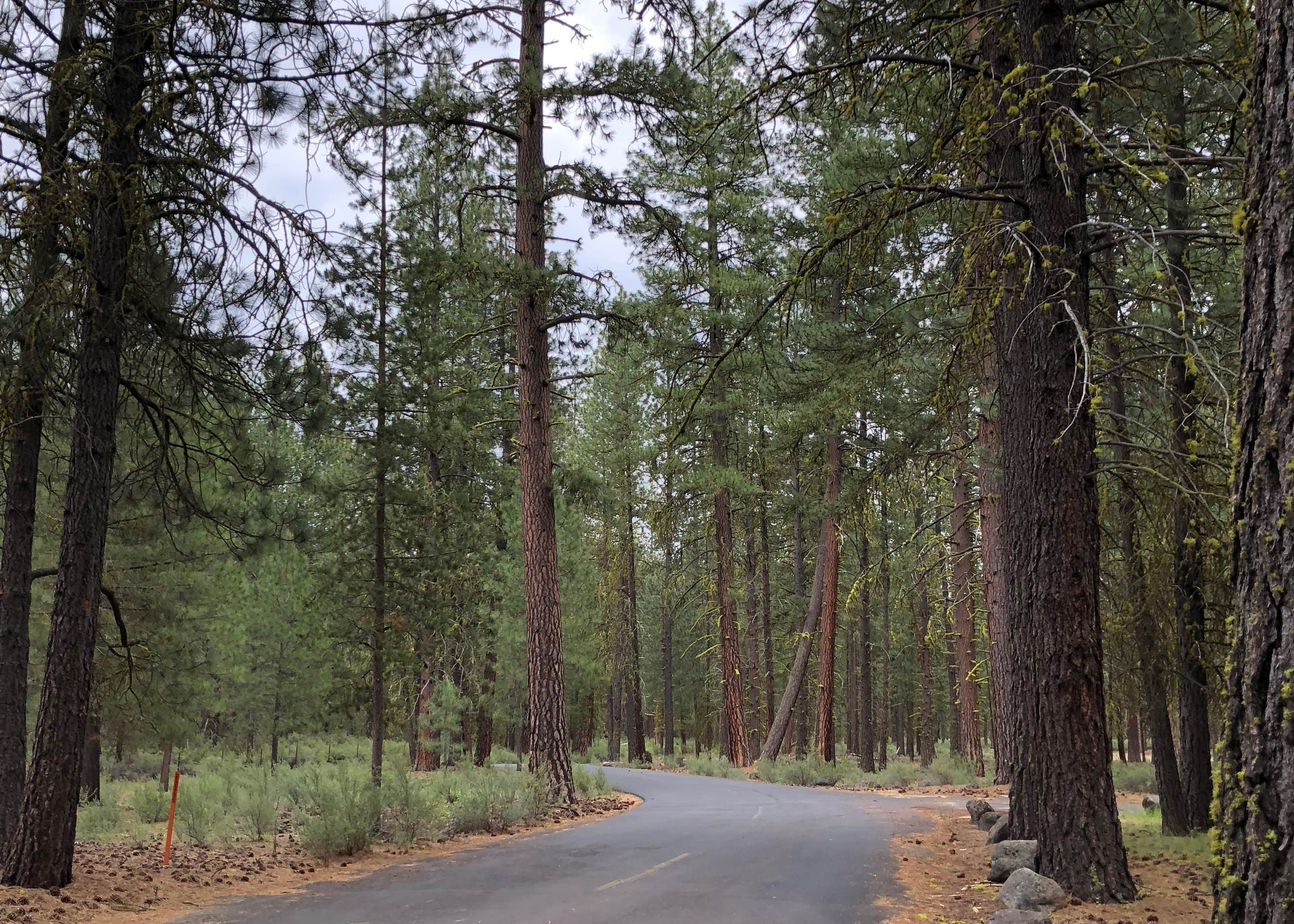 Collier Memorial State Park Camping | The Dyrt