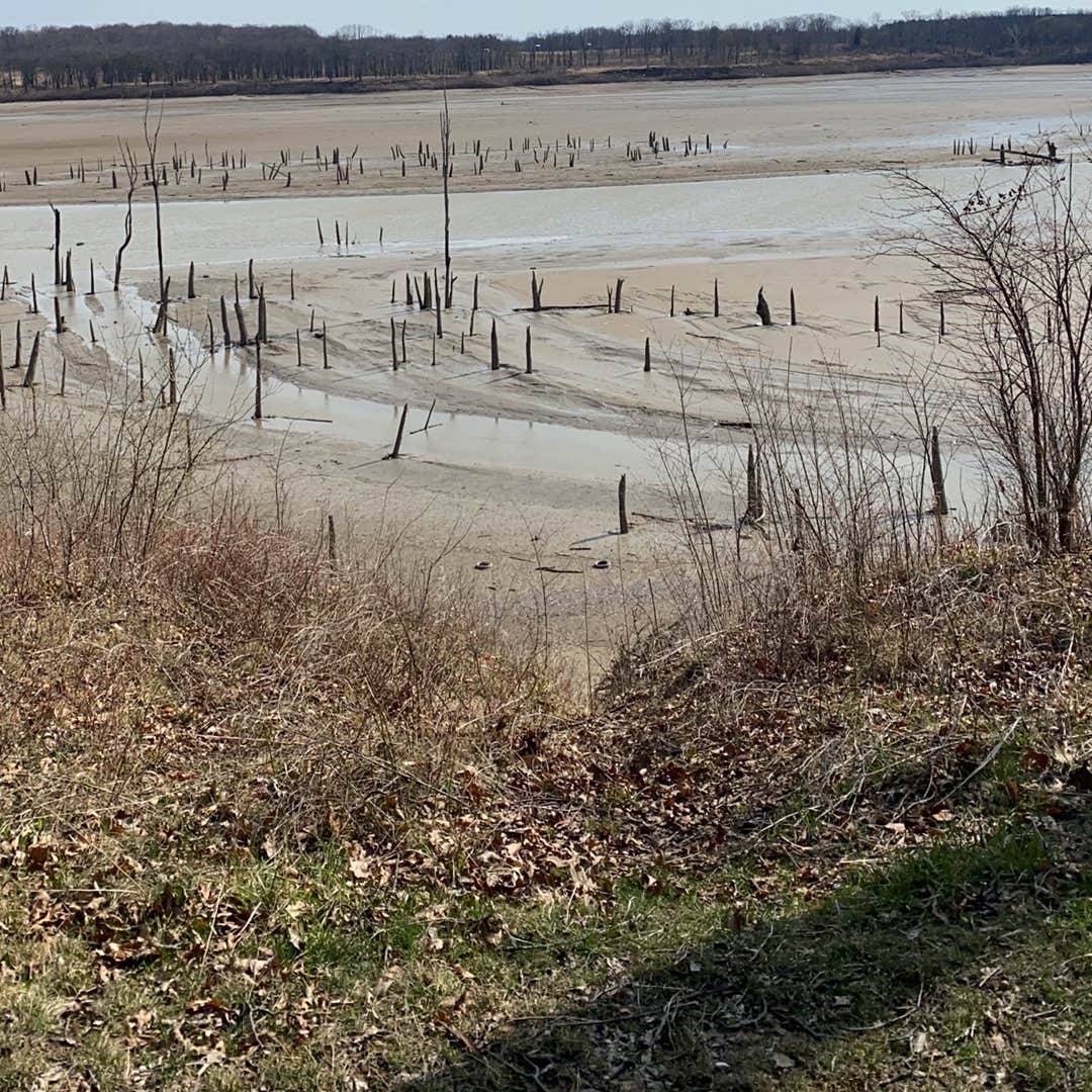 Kil-So-Quah - J. Edward Roush Lake Camping | The Dyrt