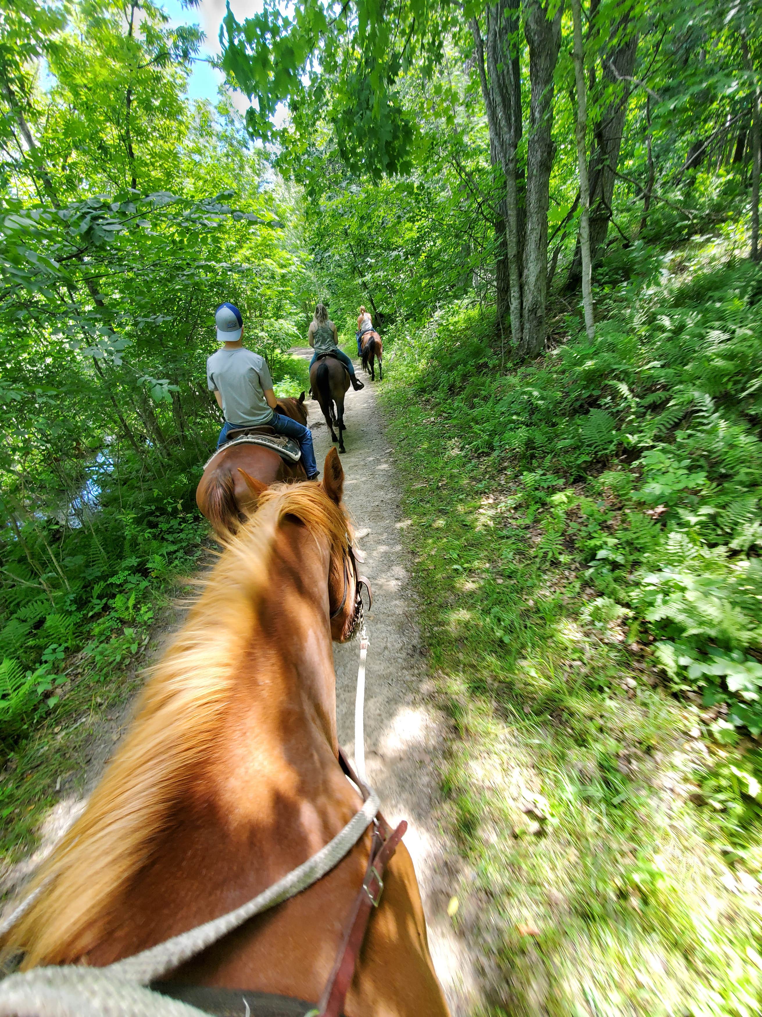 El Rancho Manana Camping | Richmond, Minnesota