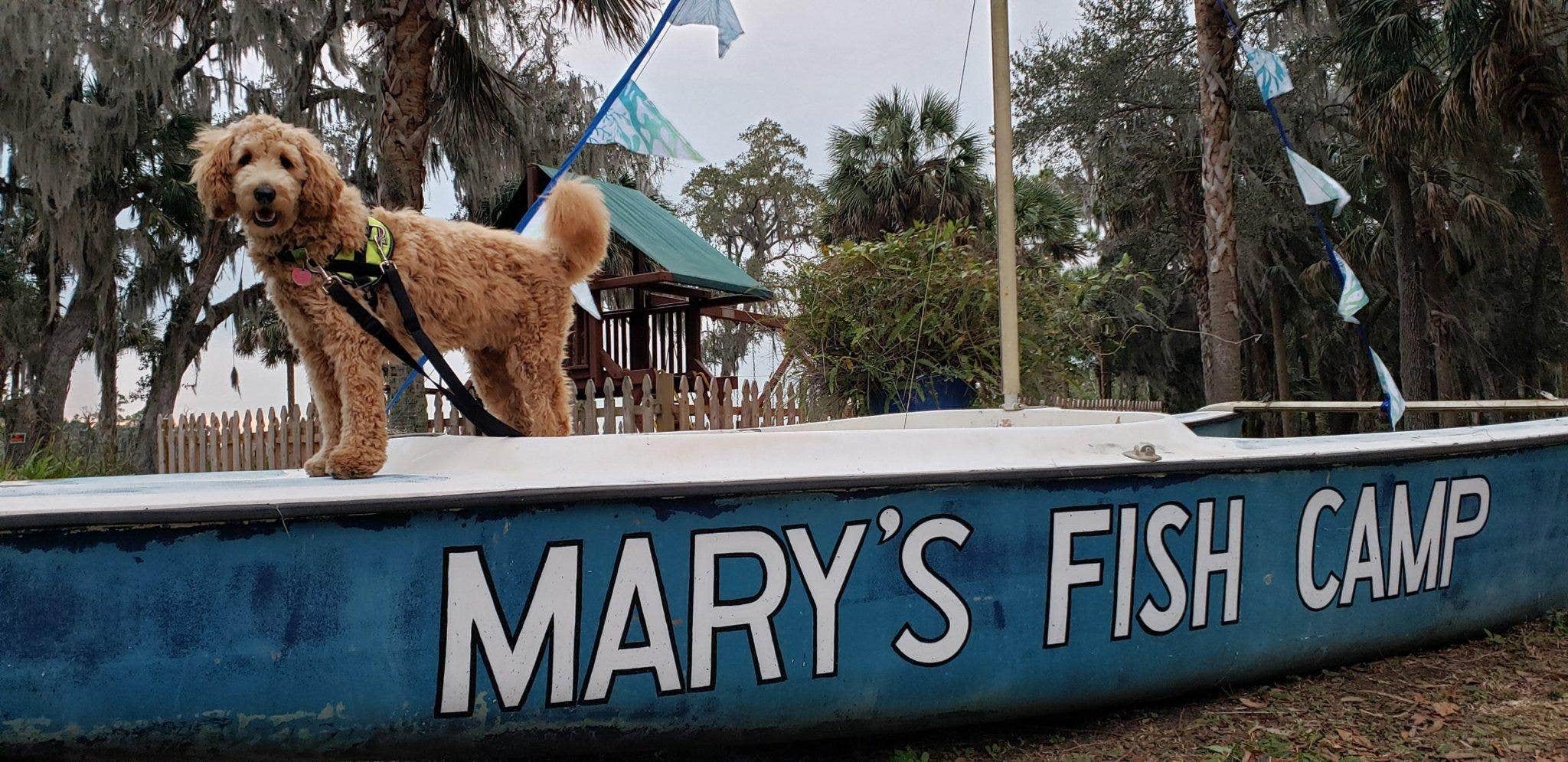 Mary’s Fish Camp | The Dyrt