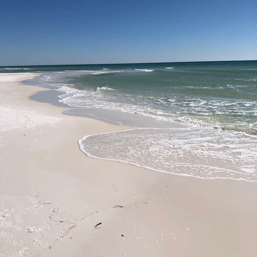 Henderson Beach State Park | The Dyrt