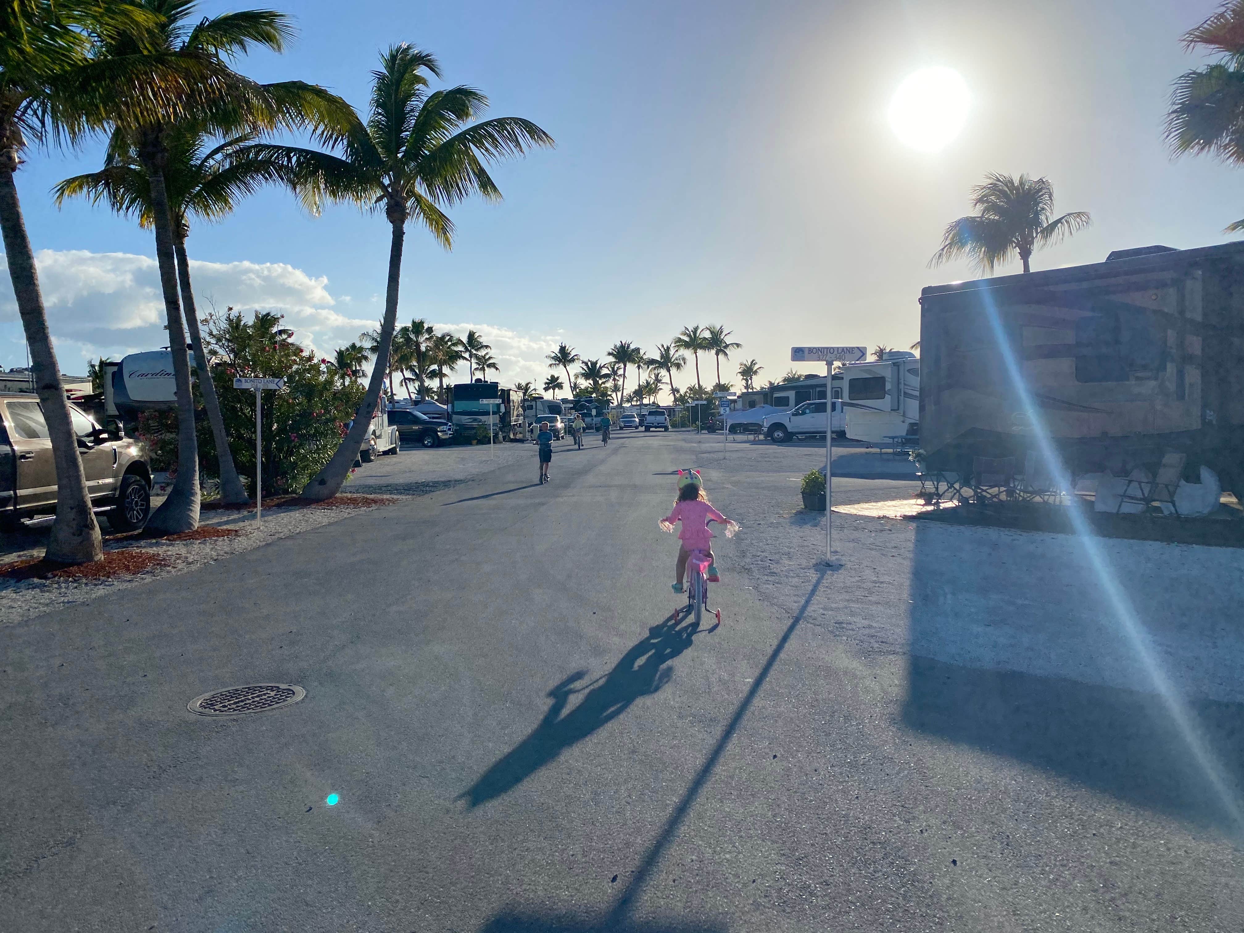 Sunshine Key RV Resort & Marina | The Dyrt