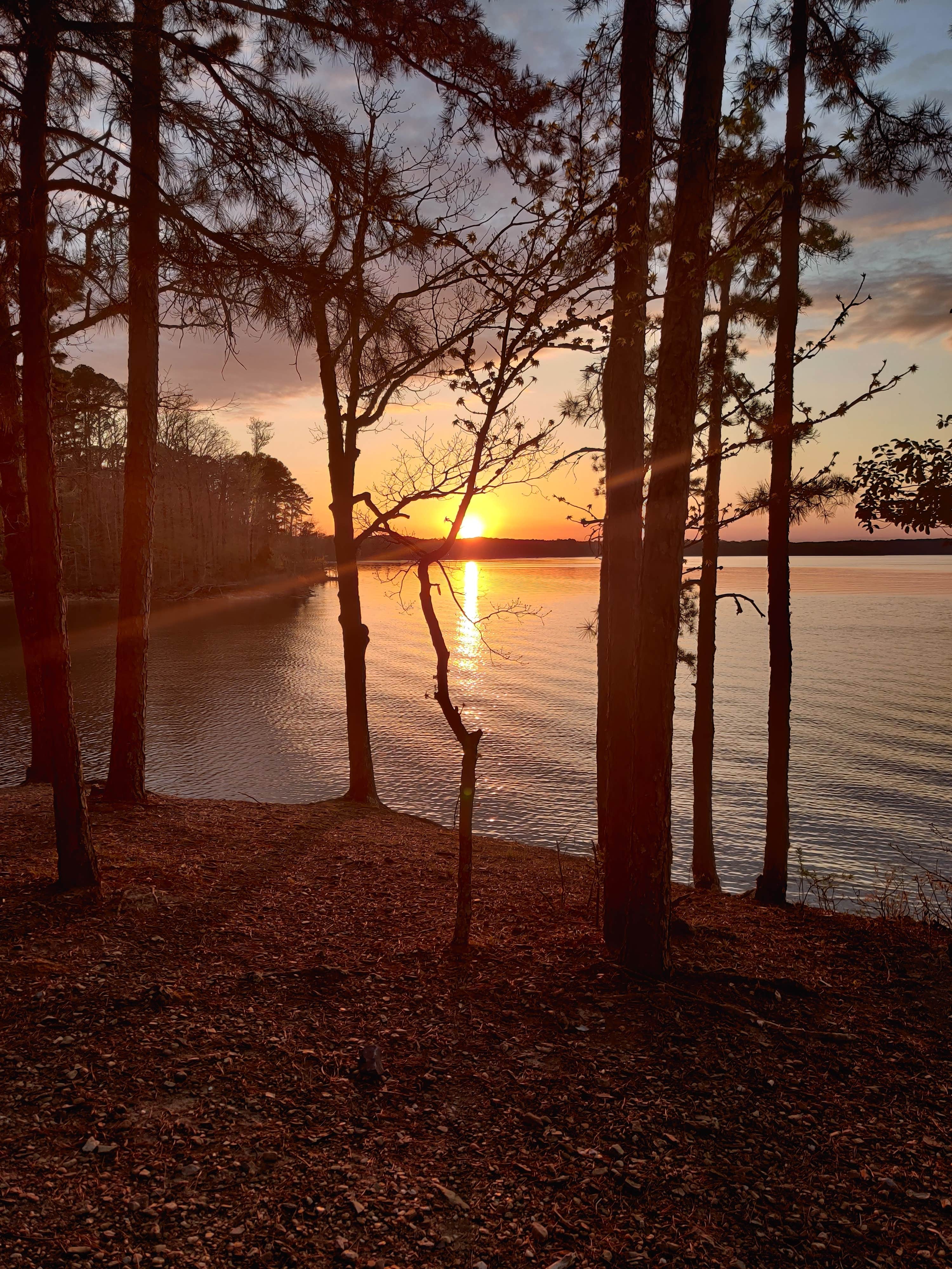 Denby Point | The Dyrt