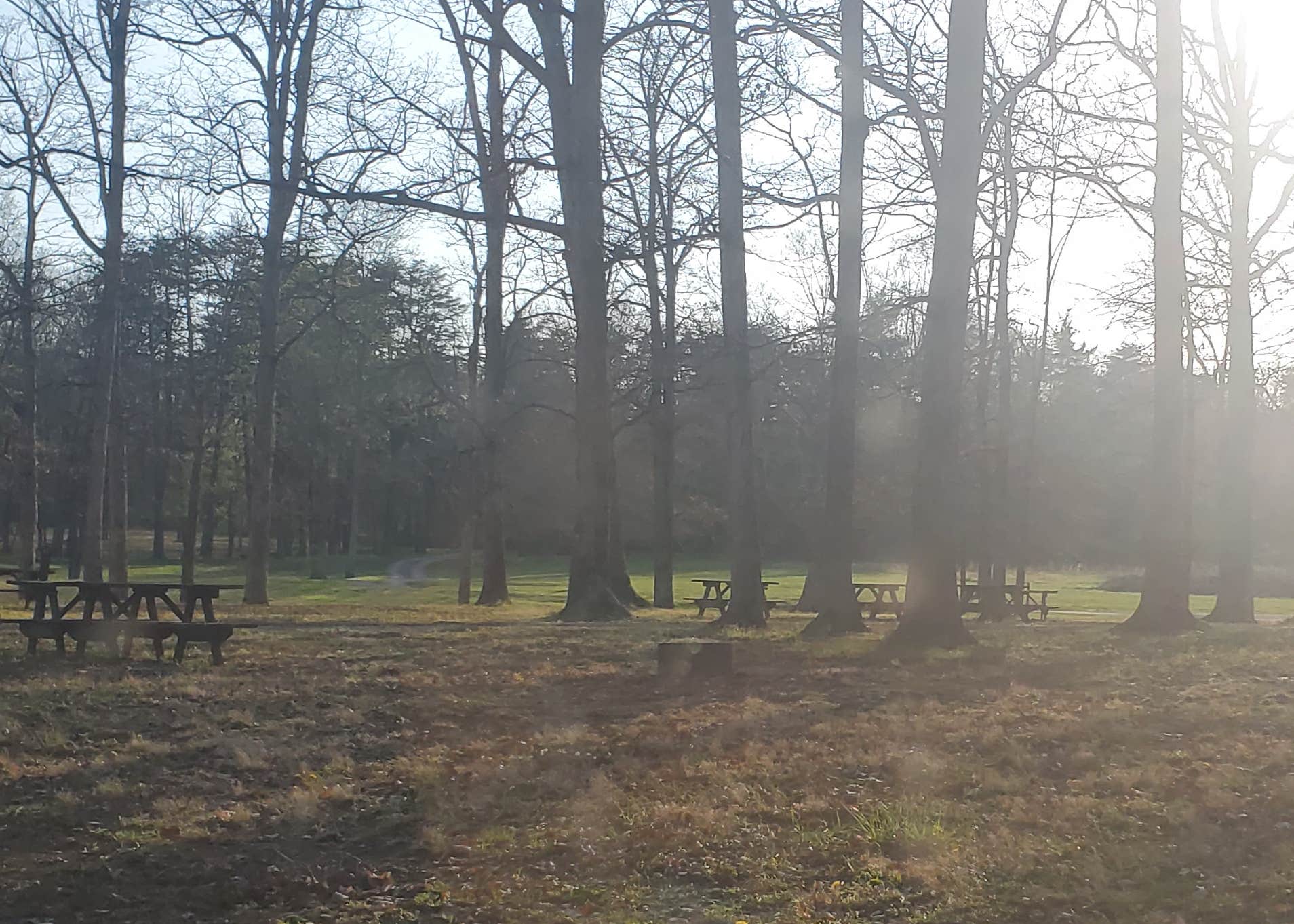 Clark State Forest Camping | The Dyrt