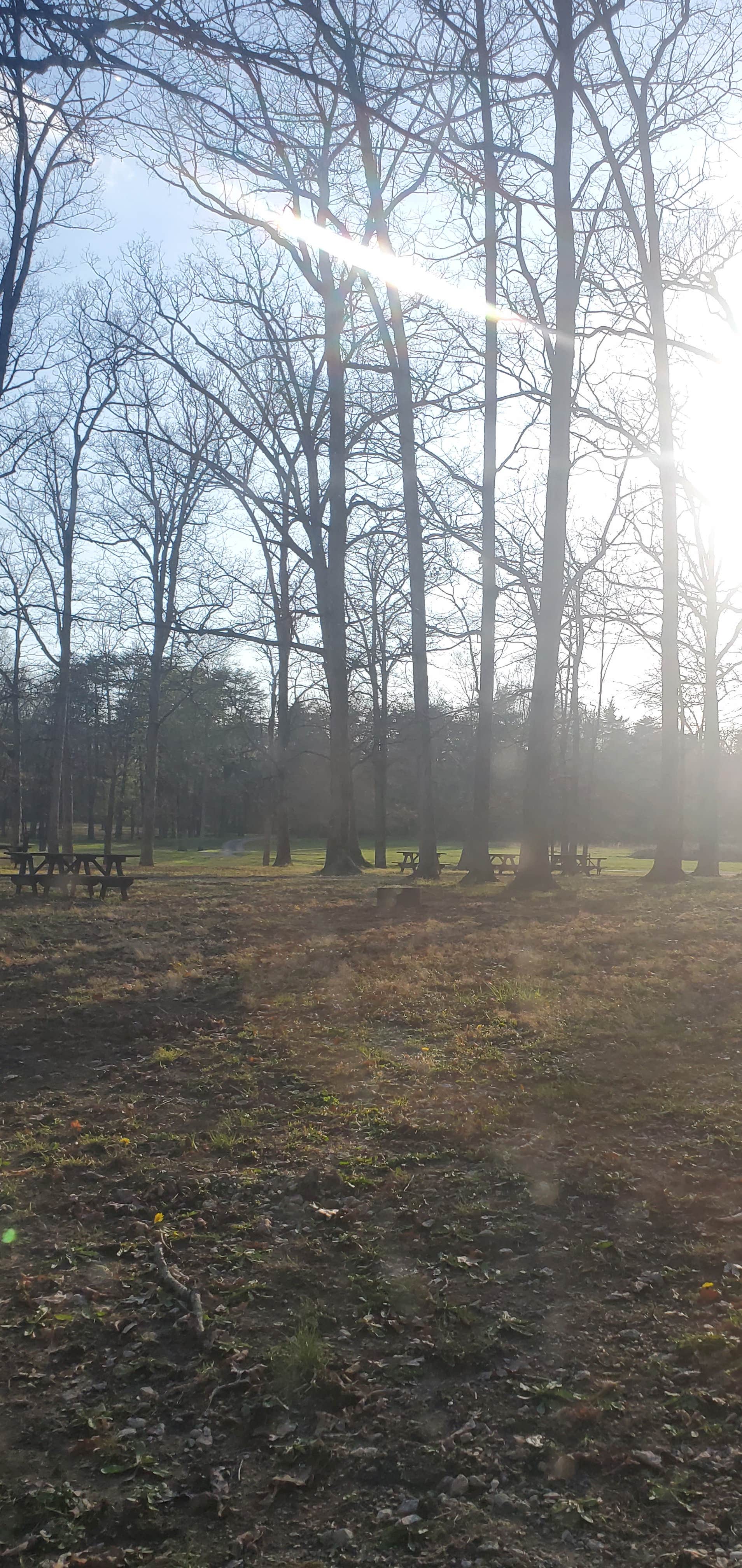 Clark State Forest Camping | New Pekin, IN