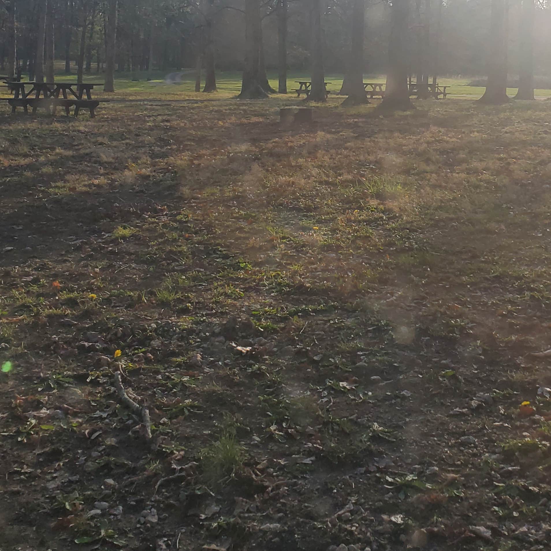 Clark State Forest Camping | Borden, Indiana