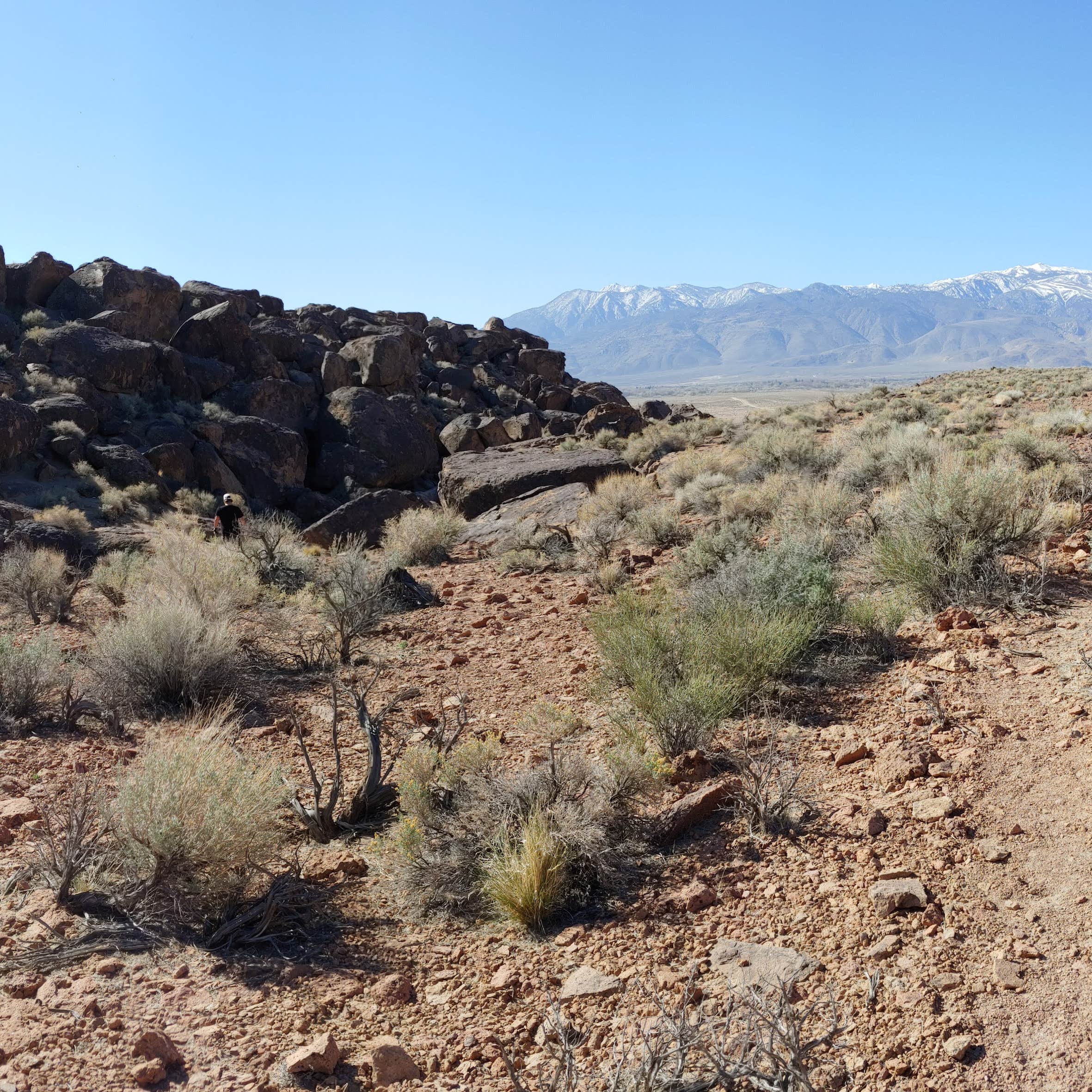 Volcanic Tableland BLM Dispersed Camping Camping | The Dyrt