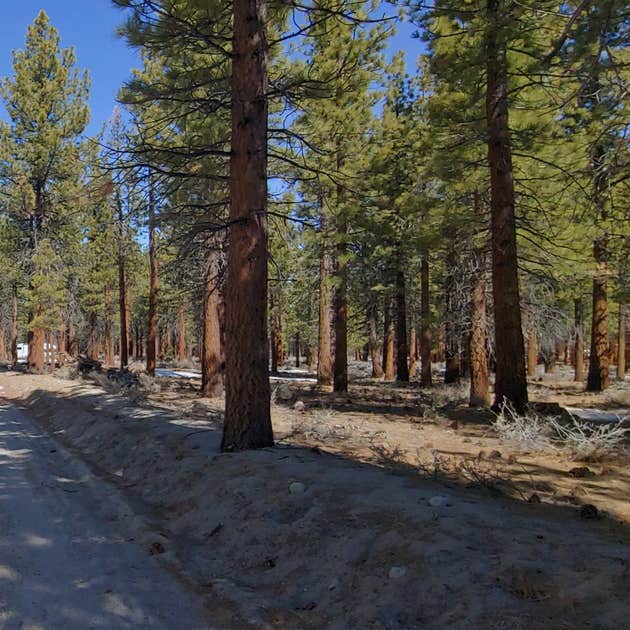 Sagehen Meadows Campground | Mammoth Lakes, CA