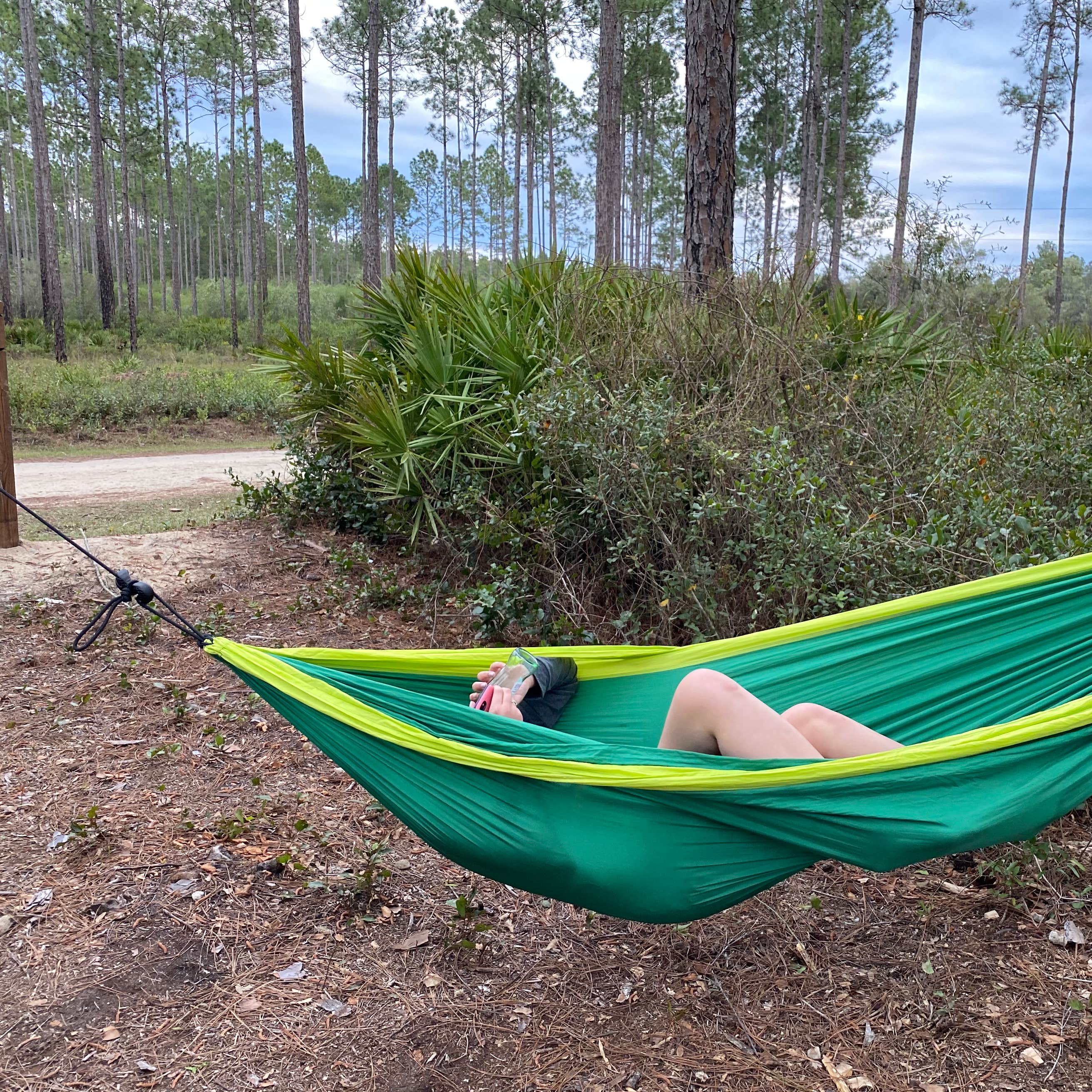 Tate's Hell State Forest Camping | The Dyrt