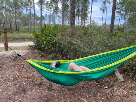 Tate's Hell State Forest Camping | The Dyrt