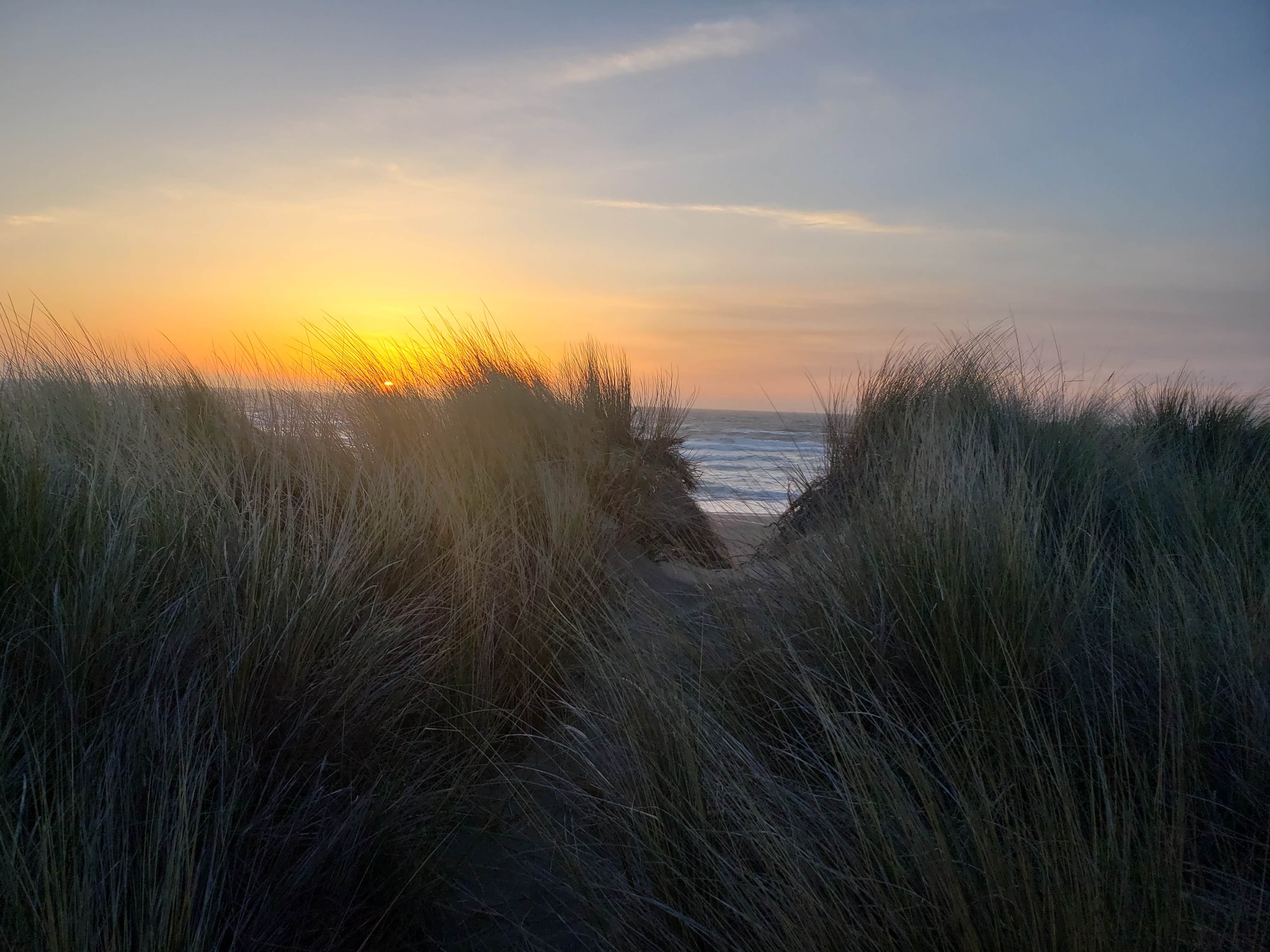 Bodega Dunes Campground at Sonoma Coast State Park | The Dyrt