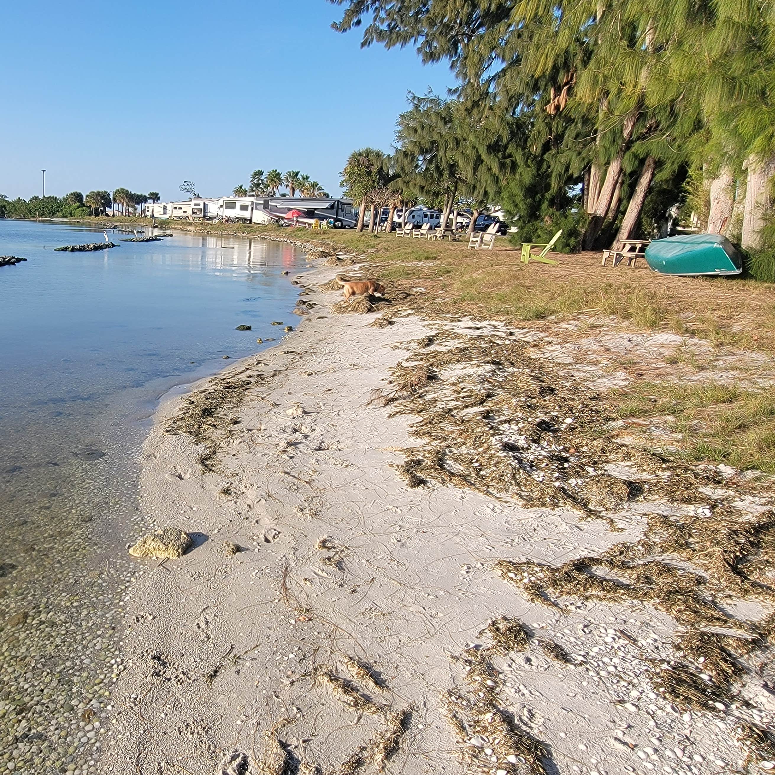 Manatee Cove Family Campground at Patrick Air Force Base Camping | The Dyrt