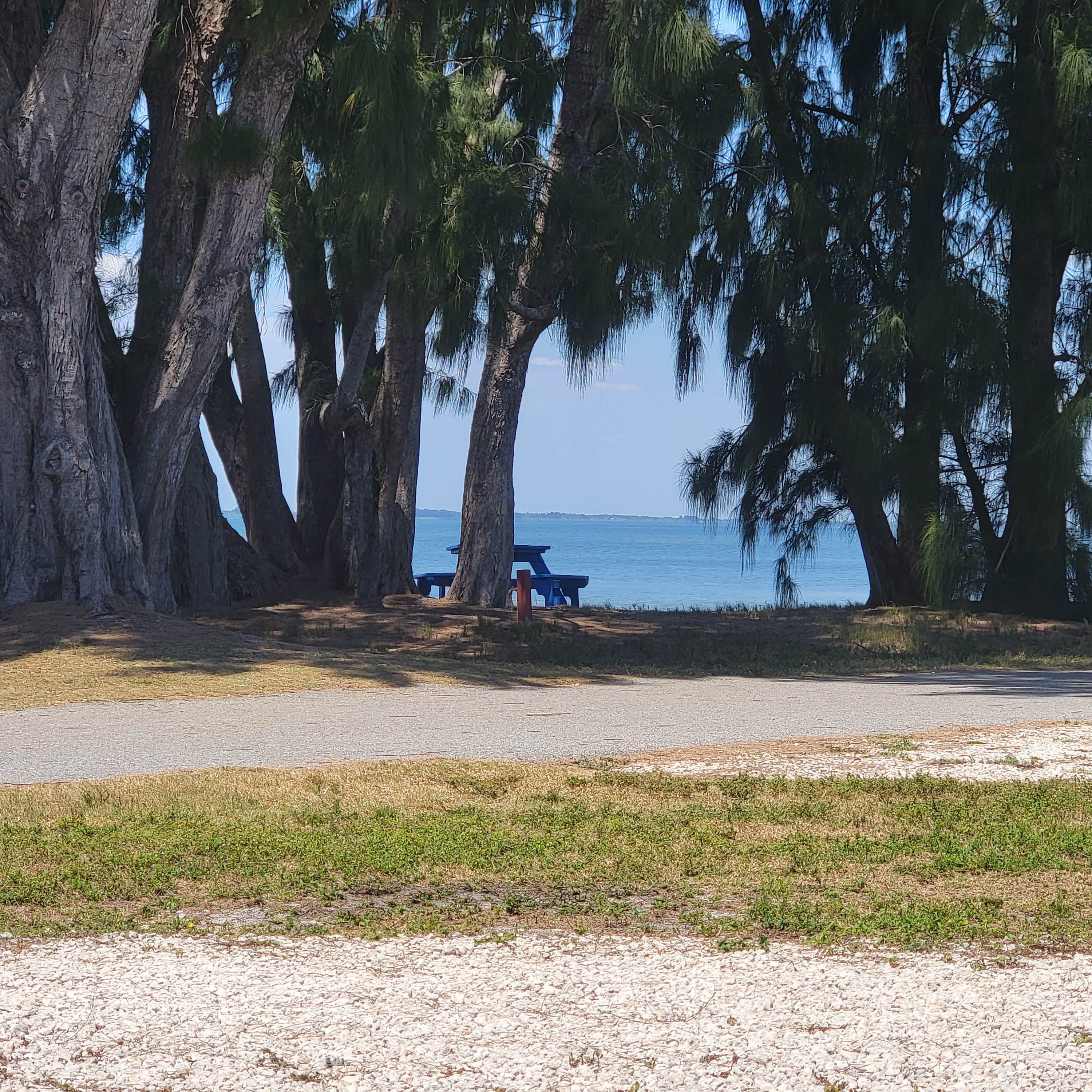 Manatee Cove Family Campground at Patrick Air Force Base Camping | The Dyrt
