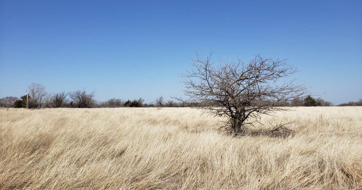 West Shore Camping Area — Cheney State Park | Cheney, Kansas