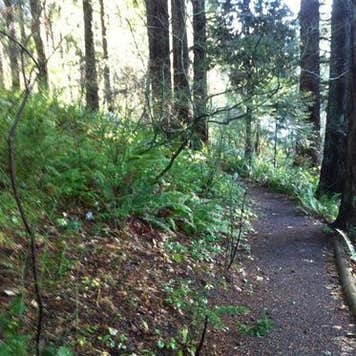 Barton County Park Campground Camping | The Dyrt