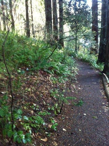 Barton County Park Campground | Boring, OR