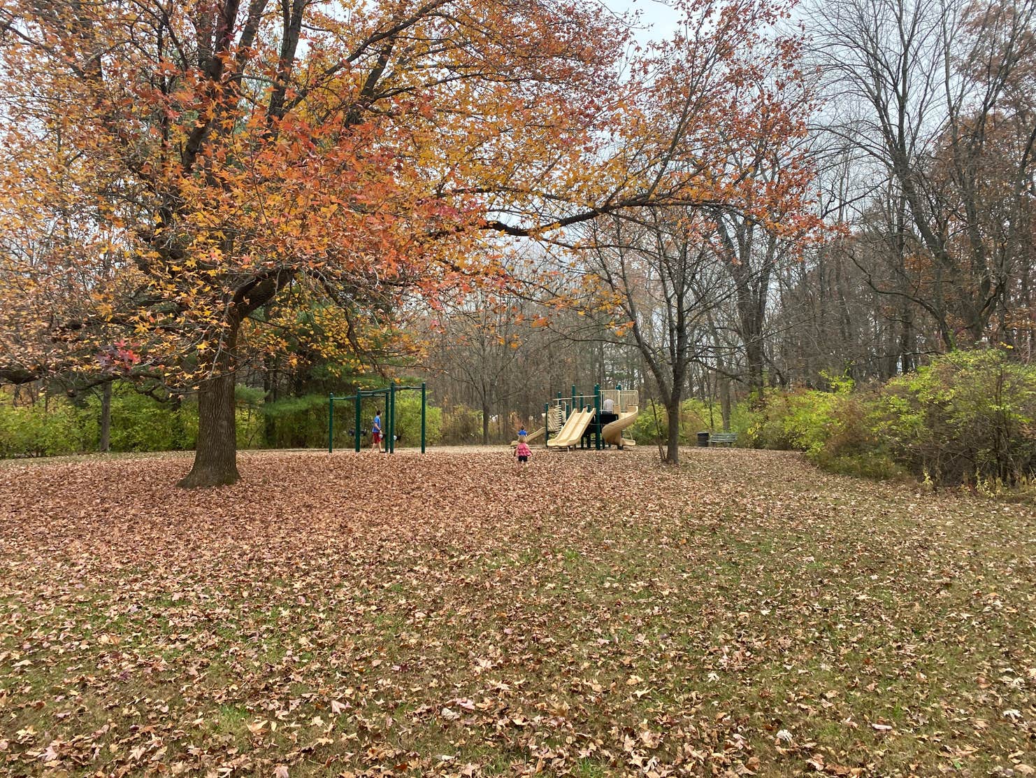 Fox Ridge State Park Camping | The Dyrt