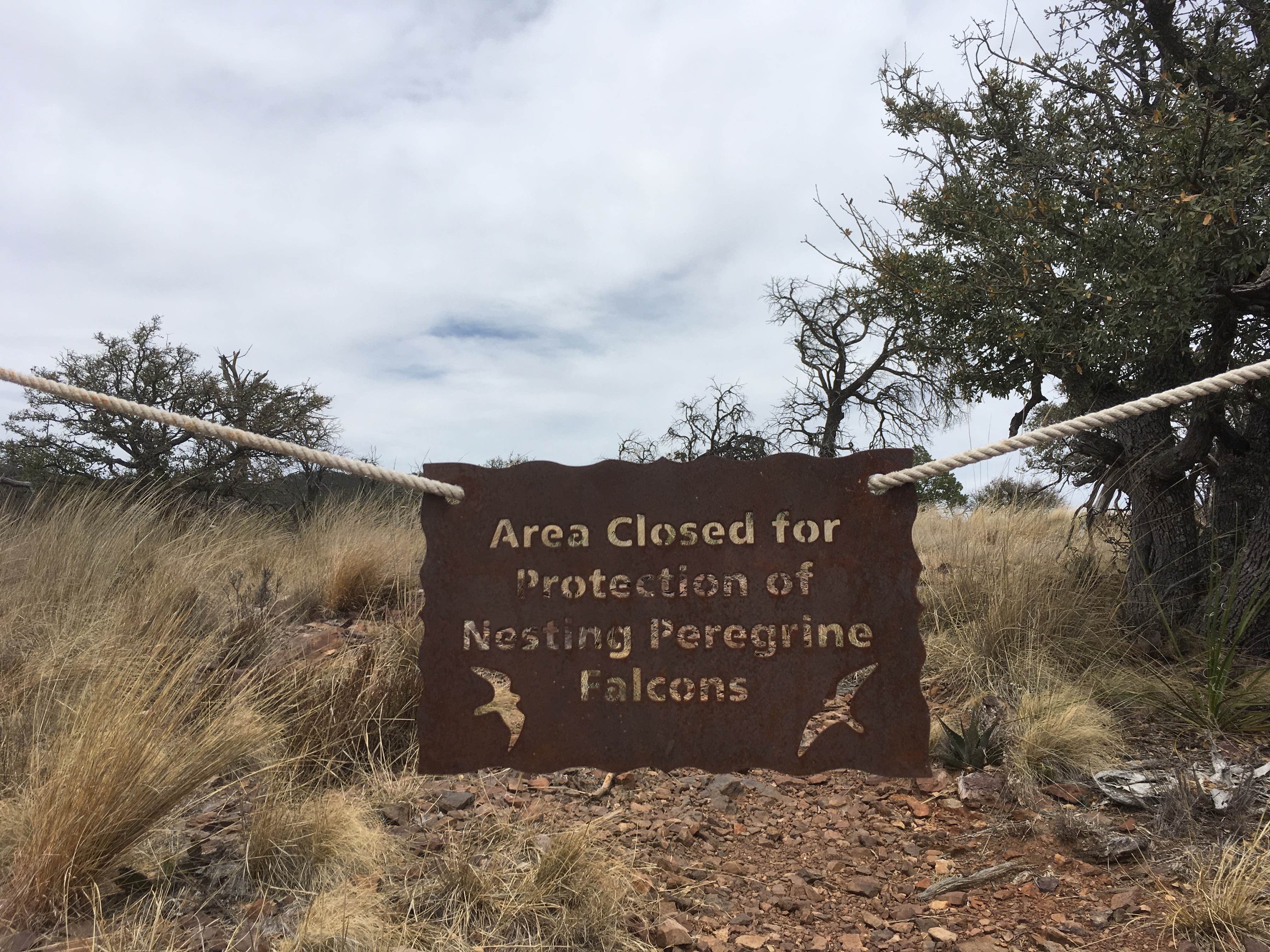 Toll Mountain (TM1) Campground — Big Bend National Park | Big Bend ...