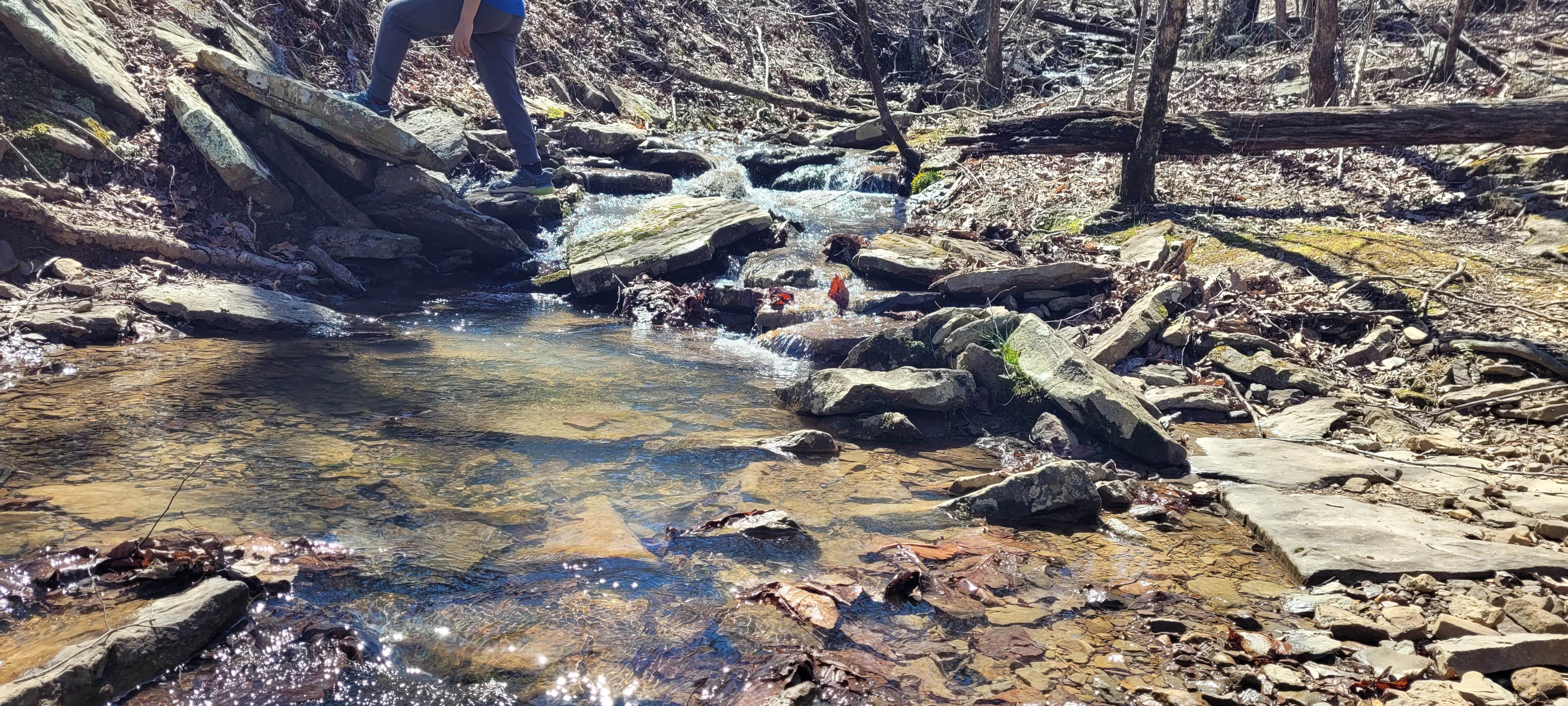 Mount Magazine State Park | The Dyrt