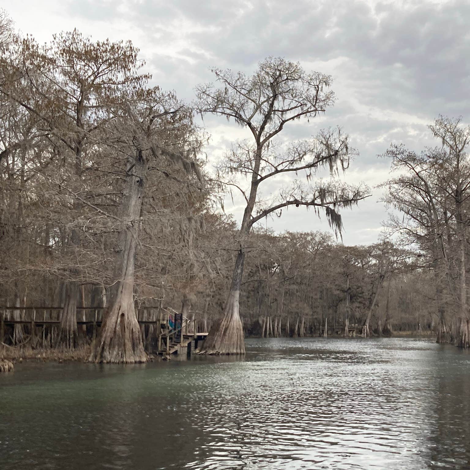 Ellie Ray's RV Resort & Lounge Camping | The Dyrt