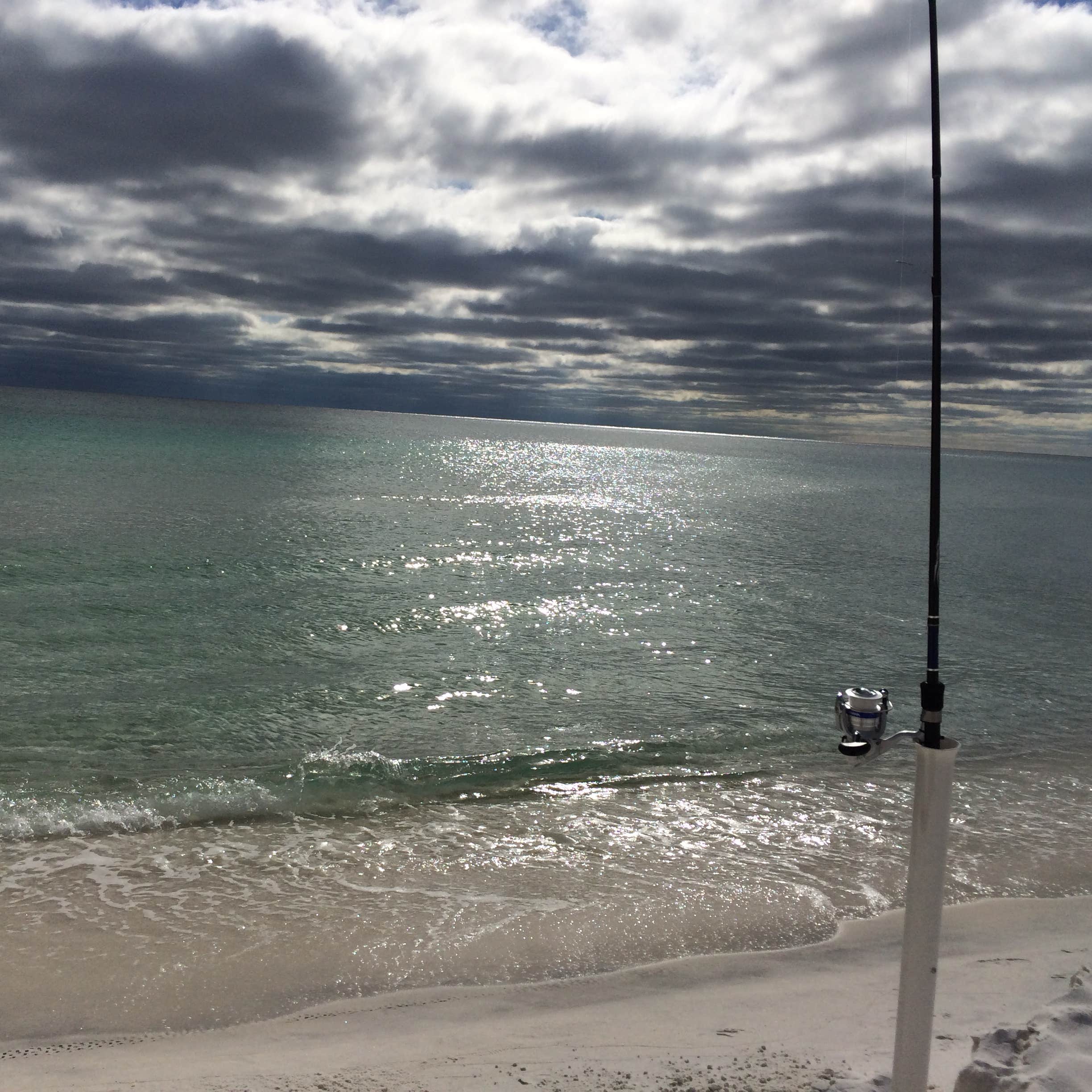 Grayton Beach State Park Camping | The Dyrt