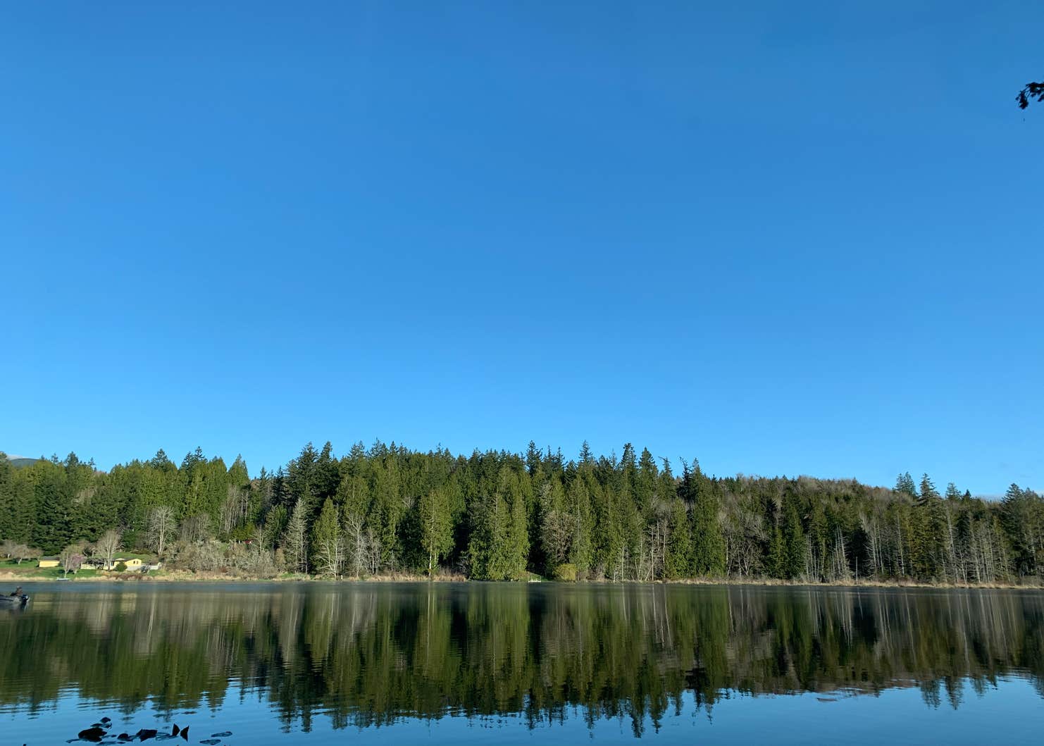 Lake Leland Campground Camping | The Dyrt