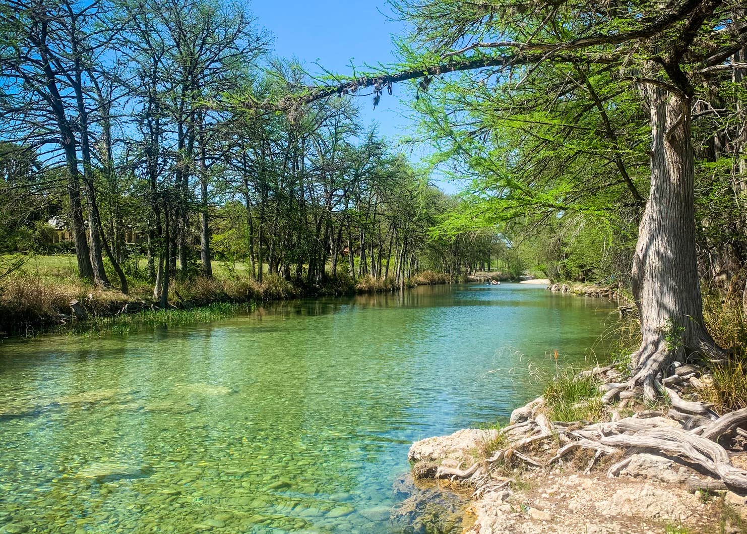 Clearwater Ranch Resort on the Frio River Camping | The Dyrt