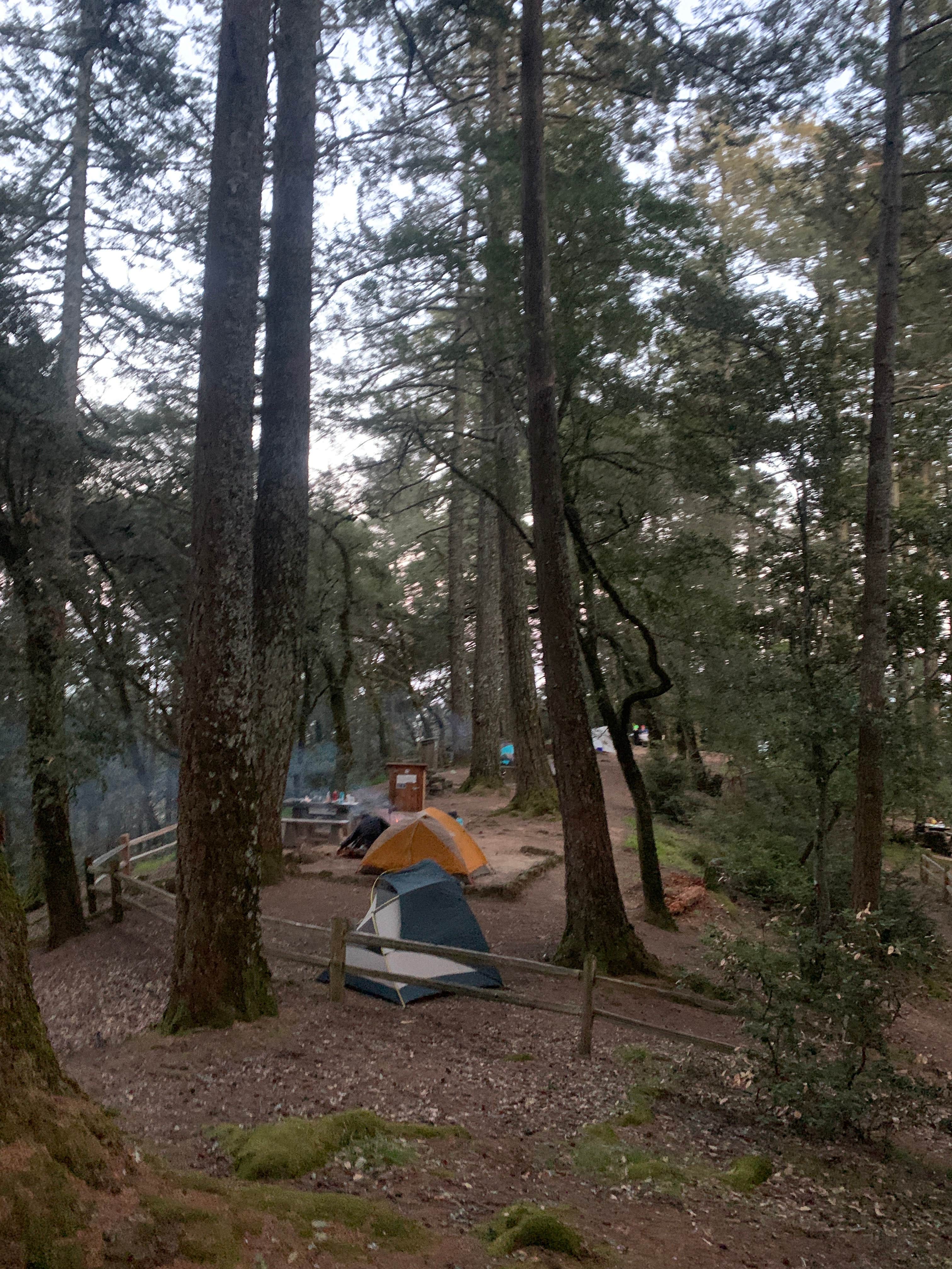 Rocky Point Steep Ravine - Mt Tamalpais State Park | The Dyrt