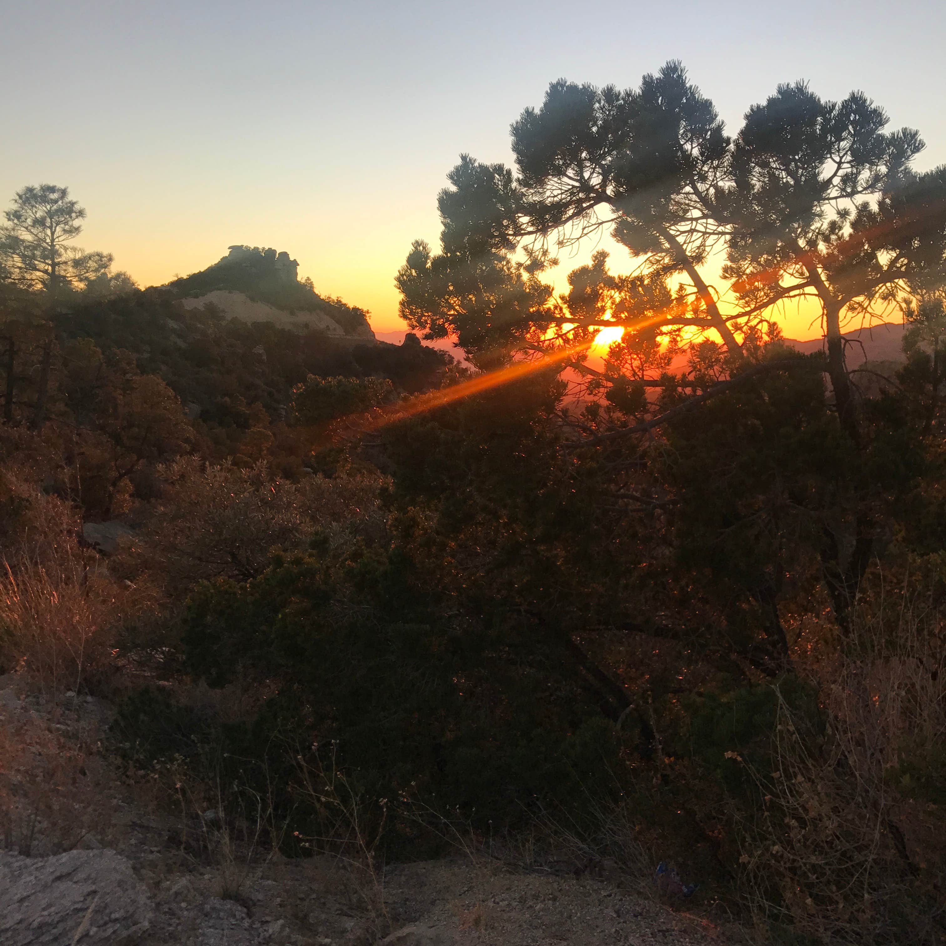 Gordon Hirabayashi Campground | The Dyrt