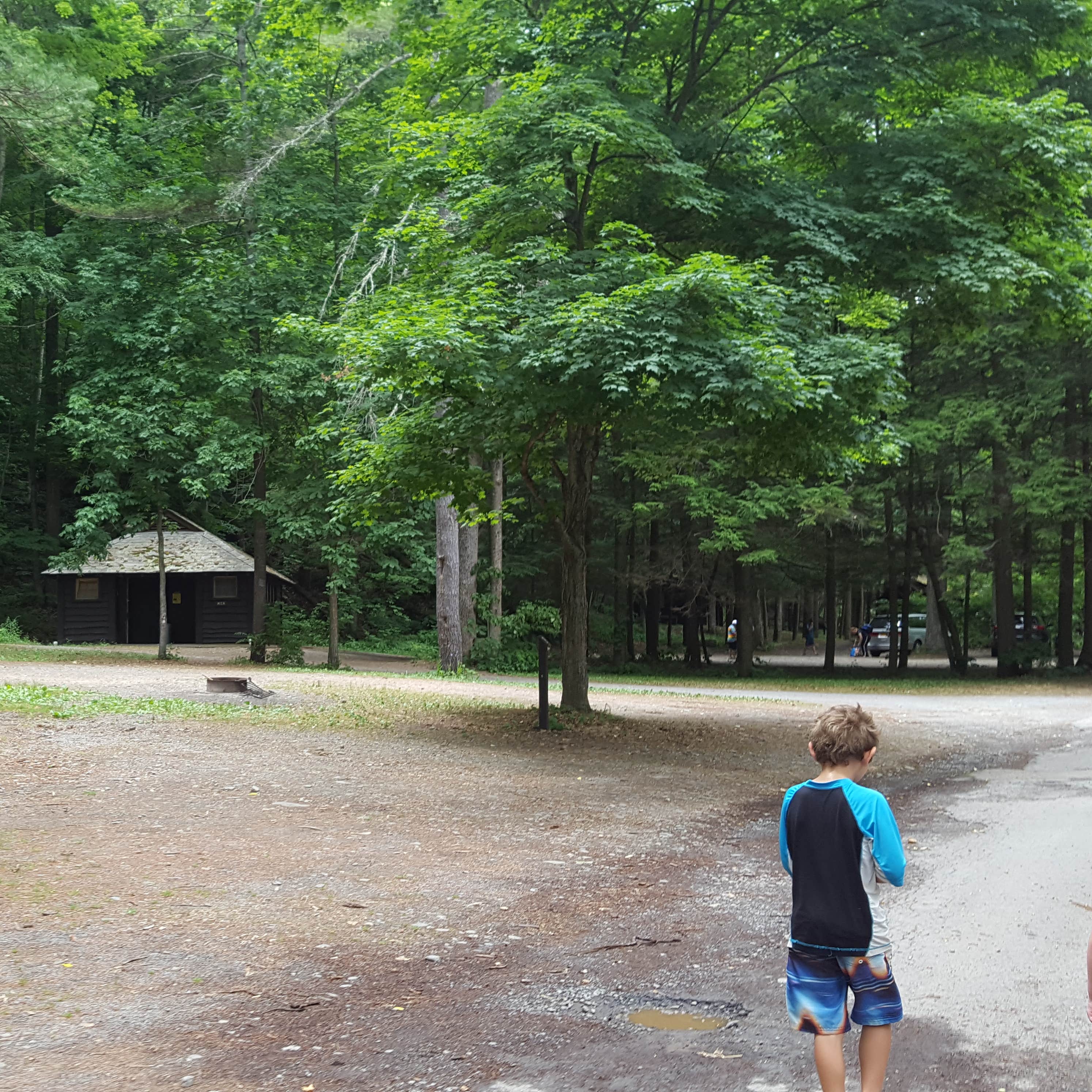 Robert H Treman State Park Camping The Dyrt