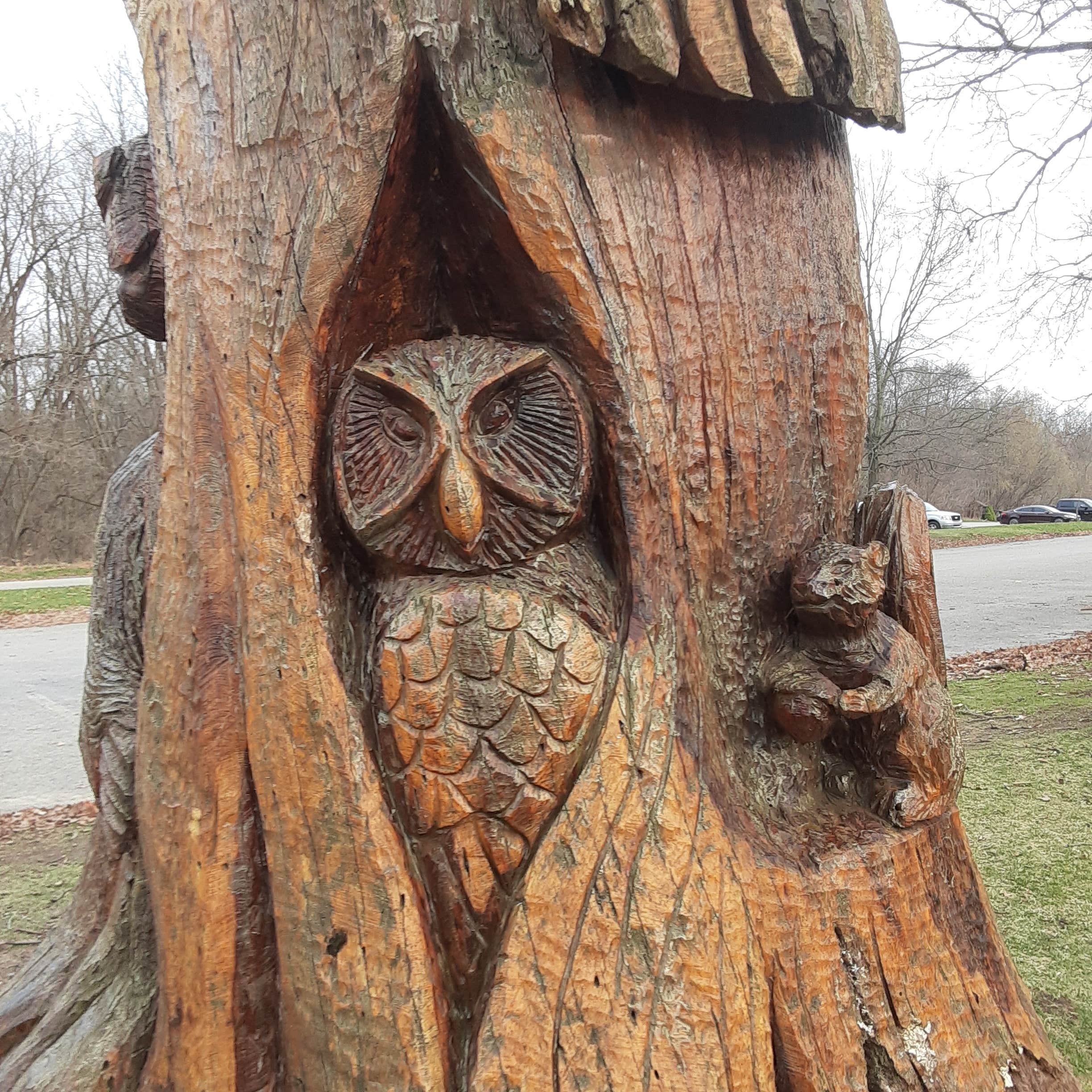 Appleton Lake Campground Camping | The Dyrt