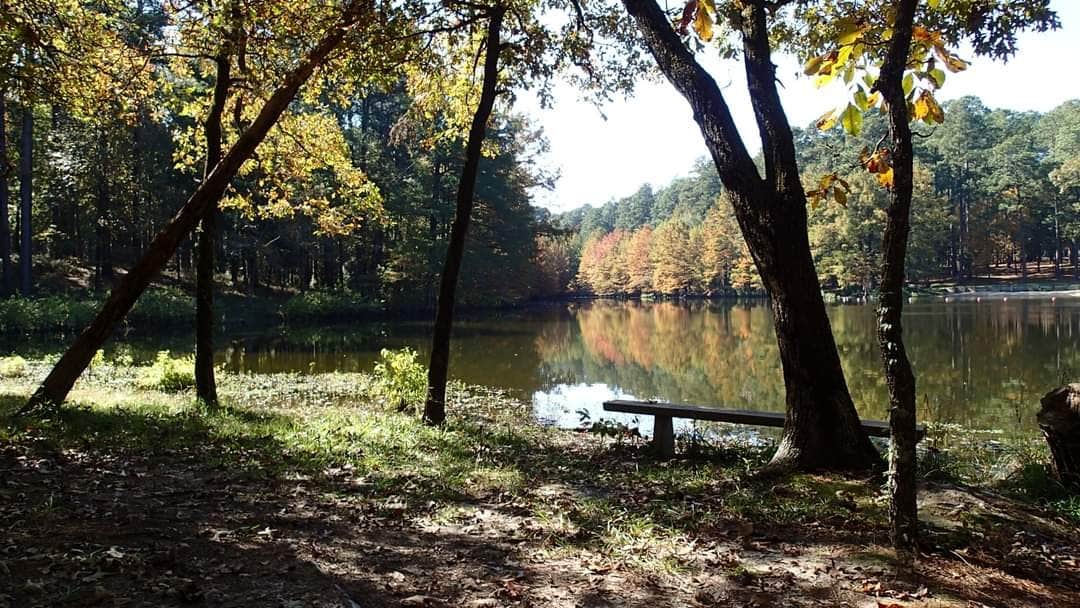 Stuart Lake NF Campground | Pineville, LA