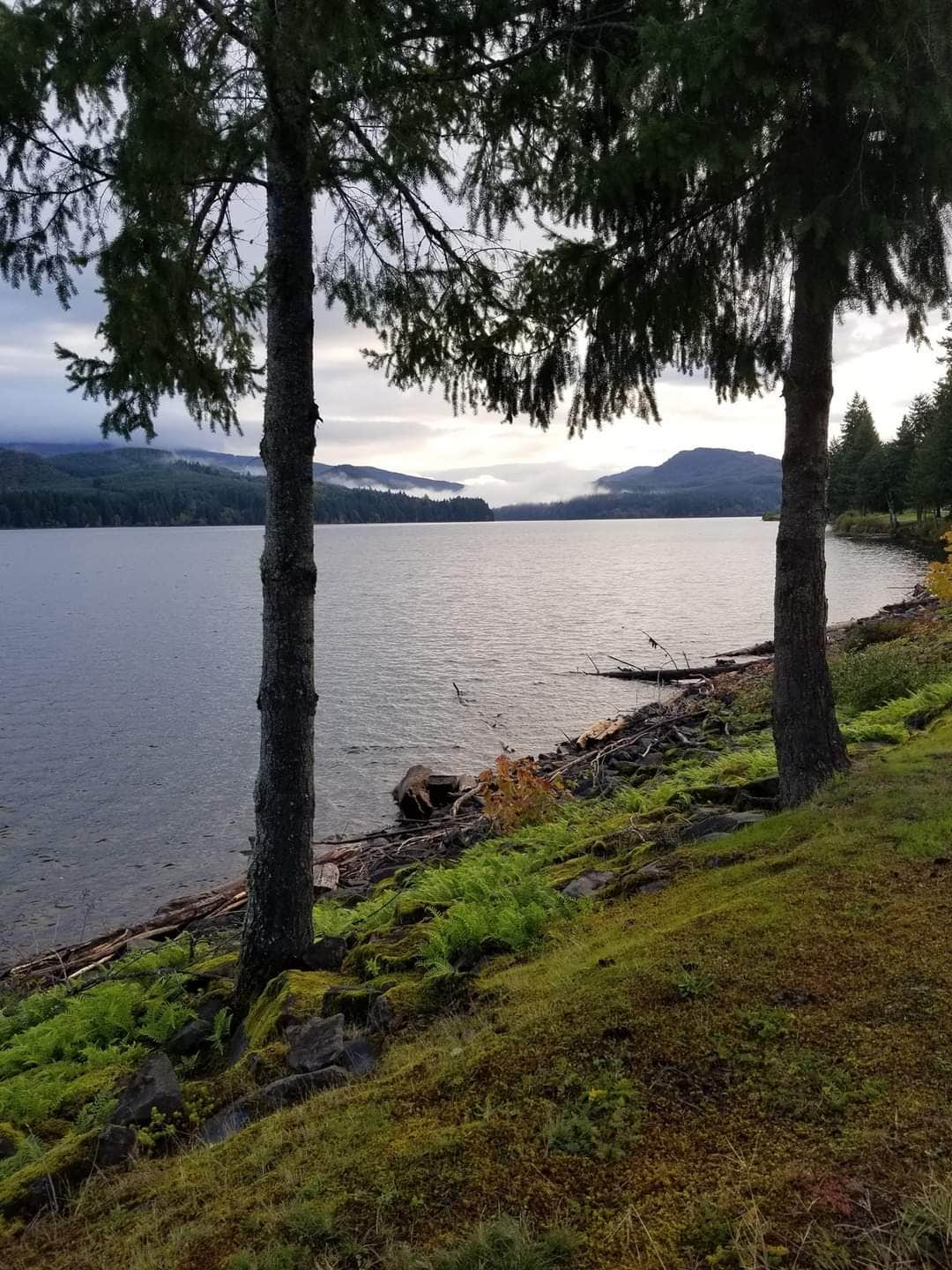 Edgewater RV Resort and Marina | Sweet Home, OR