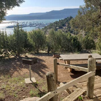 Rosa Campground — Navajo State Park | Arboles, CO