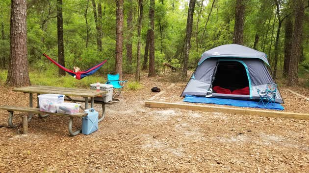 Jennings State Forest | The Dyrt