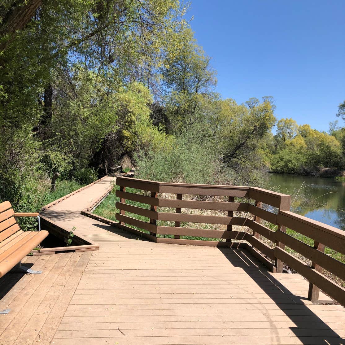 Kelsey Creek Campground - Clear Lake State Park Camping | The Dyrt