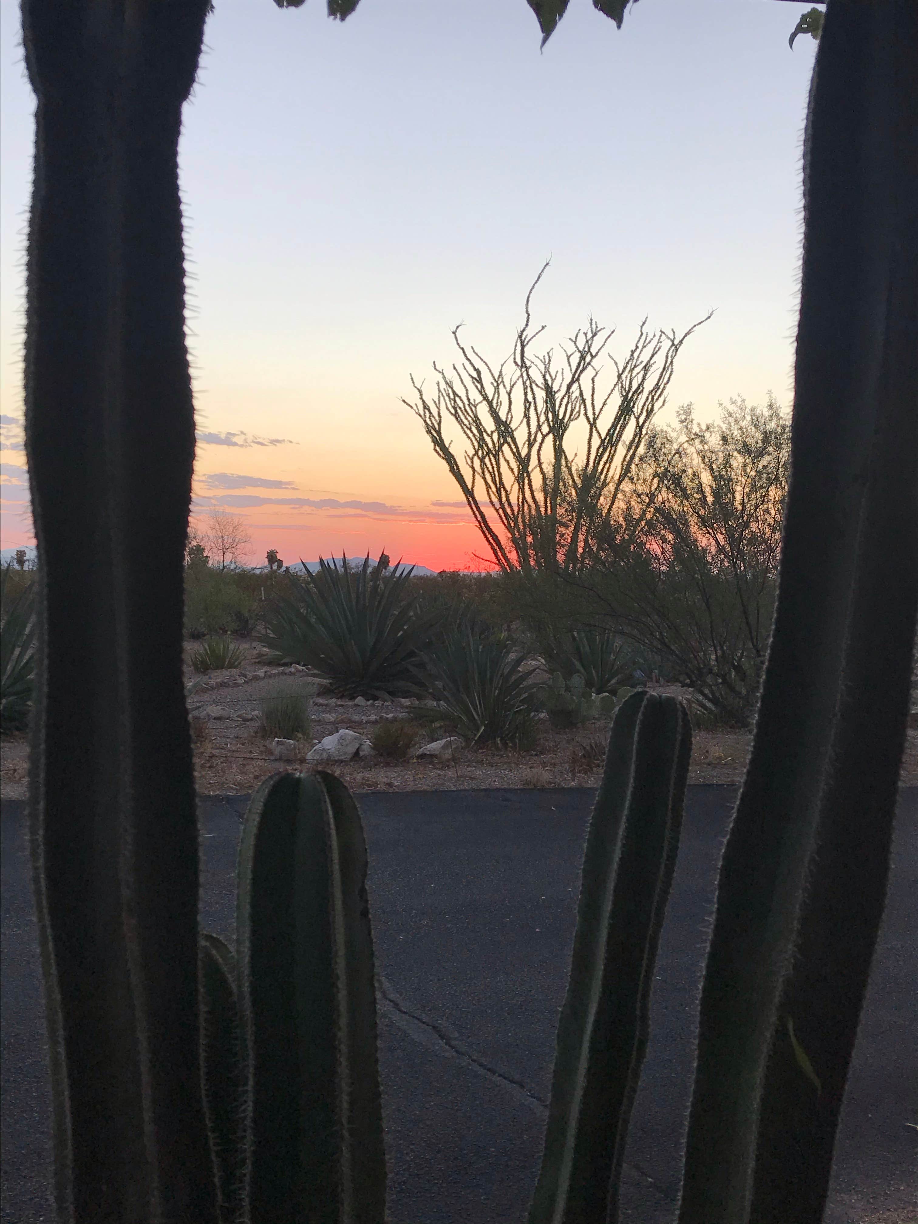 Cactus Country RV Park - 55+ | Tucson, AZ
