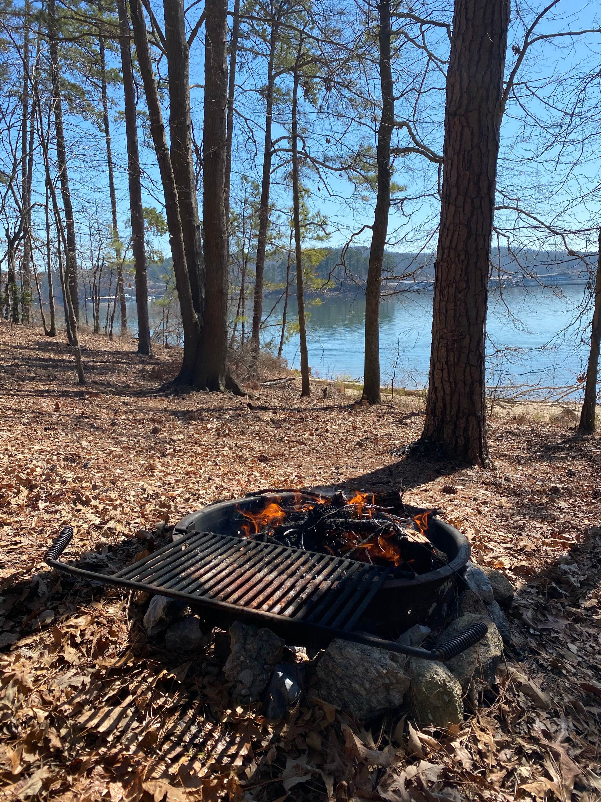 Gatewood Park Campground | The Dyrt