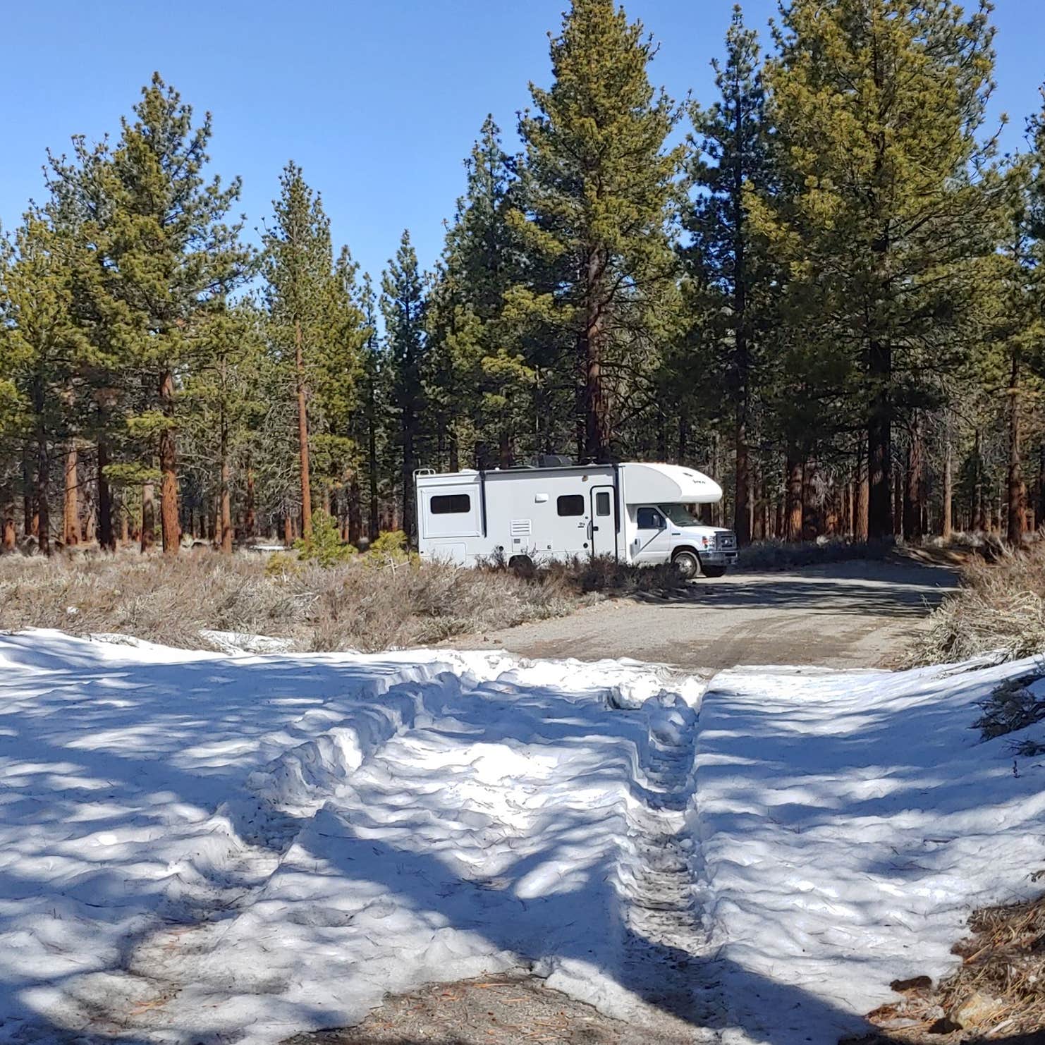 Sage Hen Dispersed Camping | June Lake, California