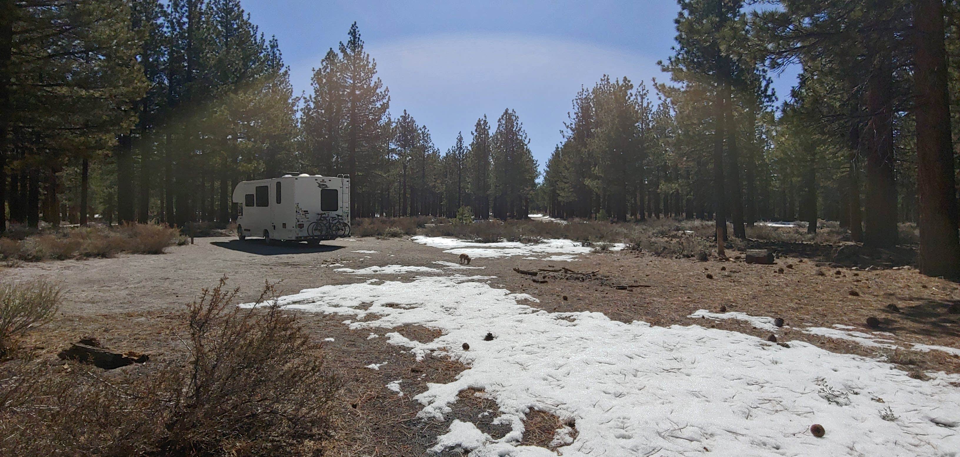 Sage Hen Dispersed Camping | June Lake, CA