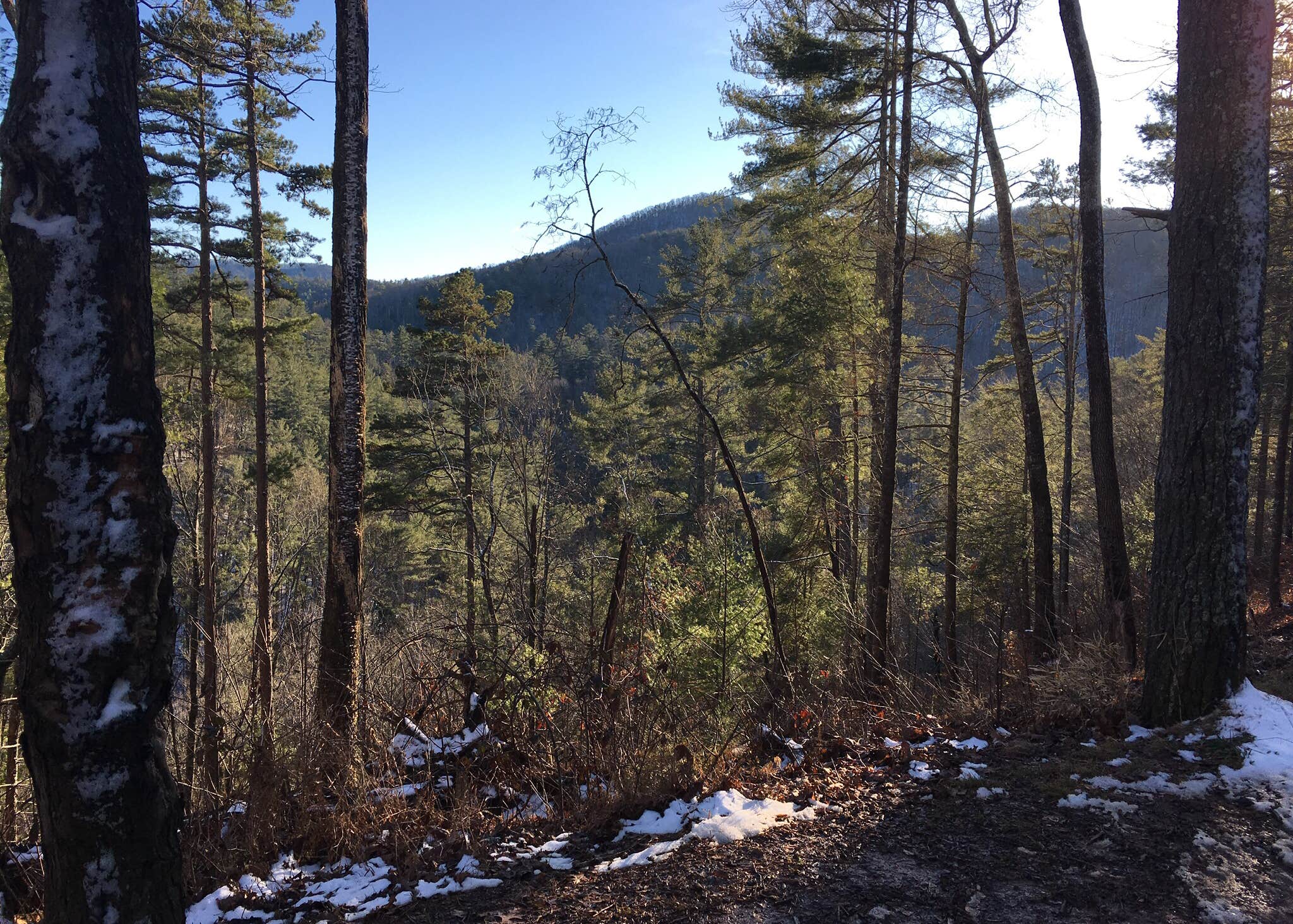 Low Gap Creek Camping | The Dyrt